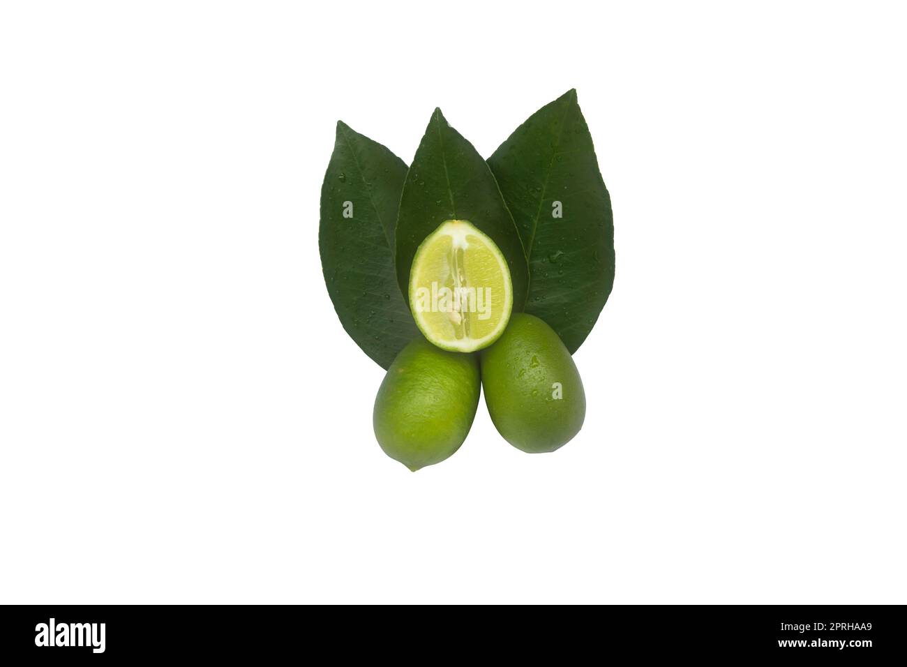 Fresh green lemon slice pieces with leaf isolated on white background Stock Photo - Alamy