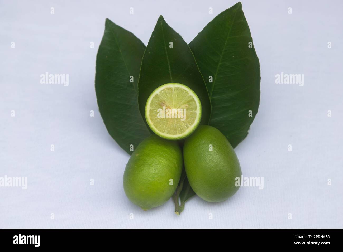 Fresh green lemon slice pieces with leaf. Testy lemon fruits ...