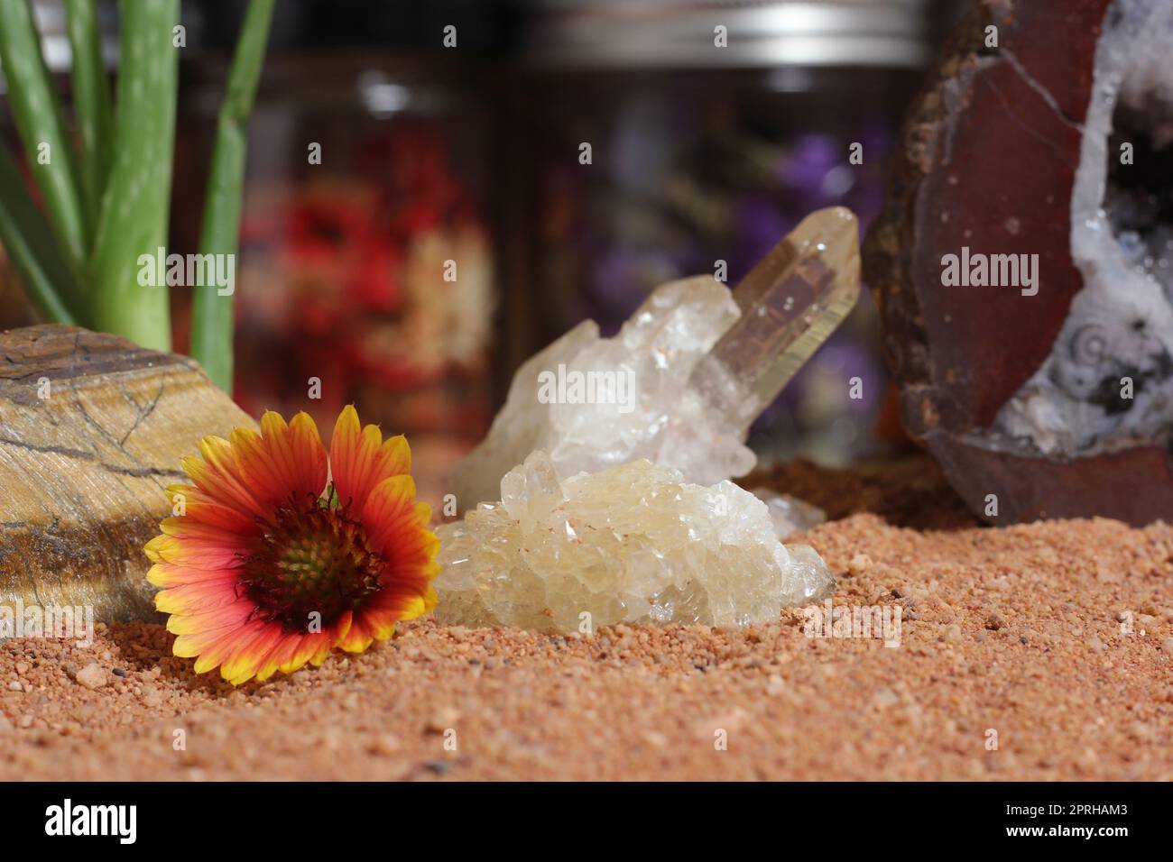 Flower With Rocks and Crystals on Australian Red Sand Stock Photo - Alamy