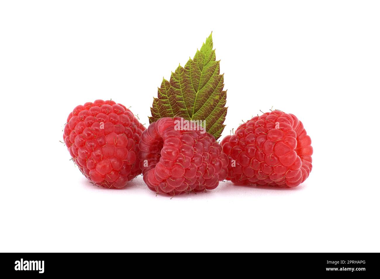 Red ripe raspberry berries with green leaves. Side view, isolated on ...