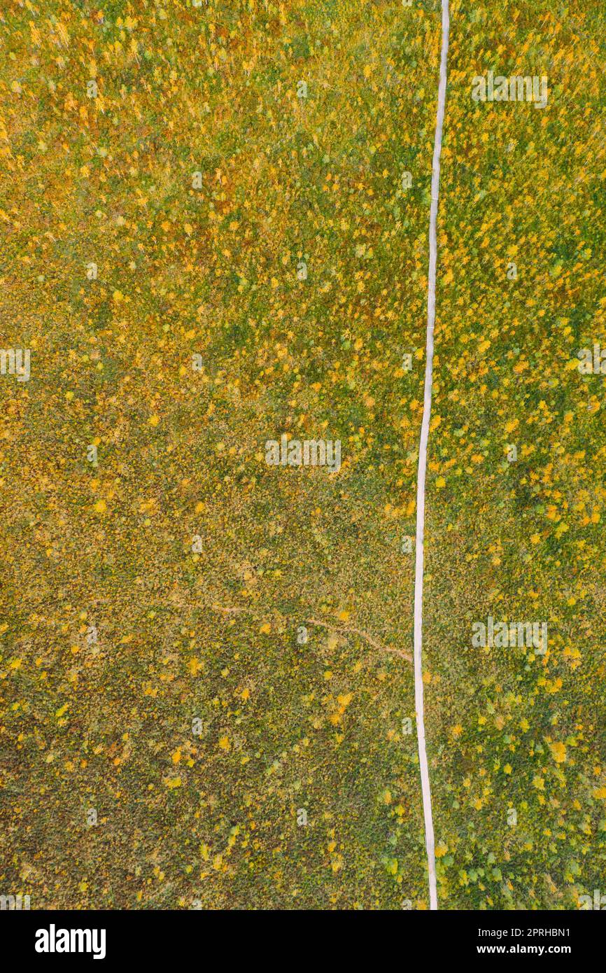 Miory District, Vitebsk Region, Belarus. The Yelnya Swamp. Aerial View ...