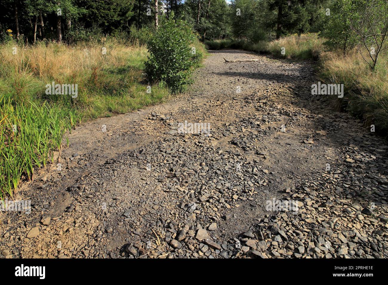 Dried out brook bed with gravel after a long period of dryness in ...