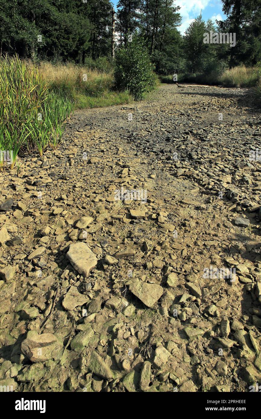 Dried out brook bed with uncovered gravel after a long period of ...
