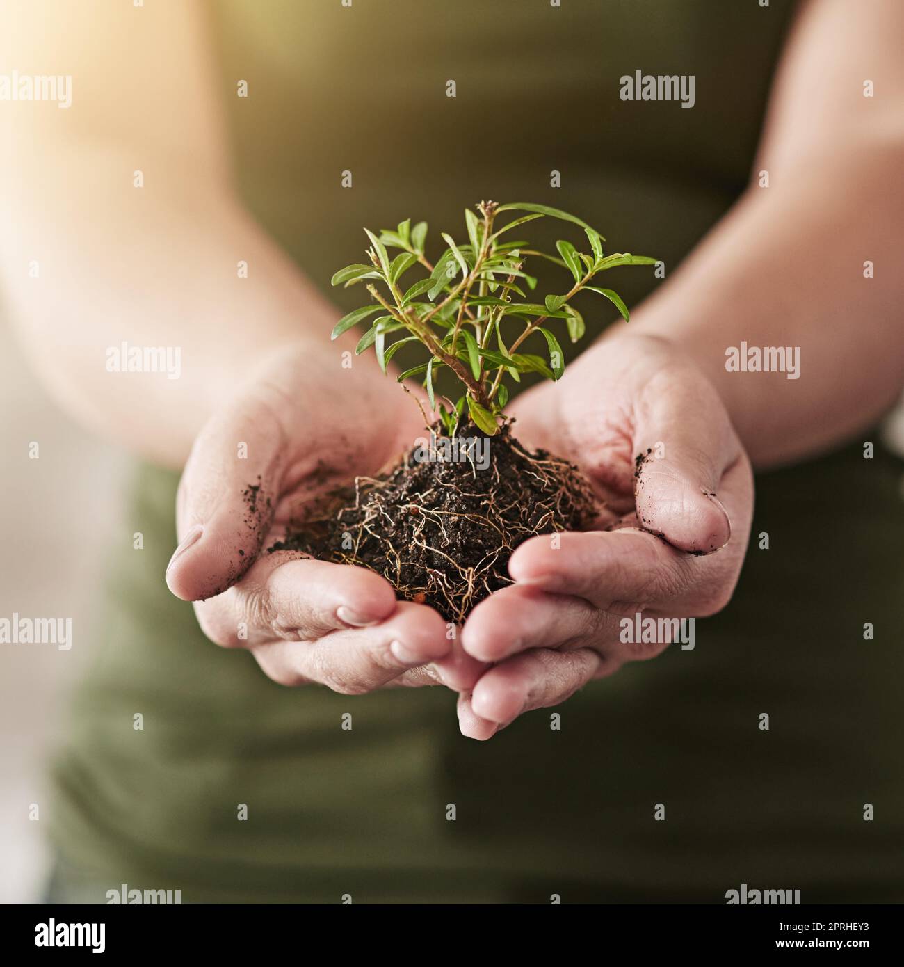 Look out world, here I grow. a woman holding a plant growing out of ...