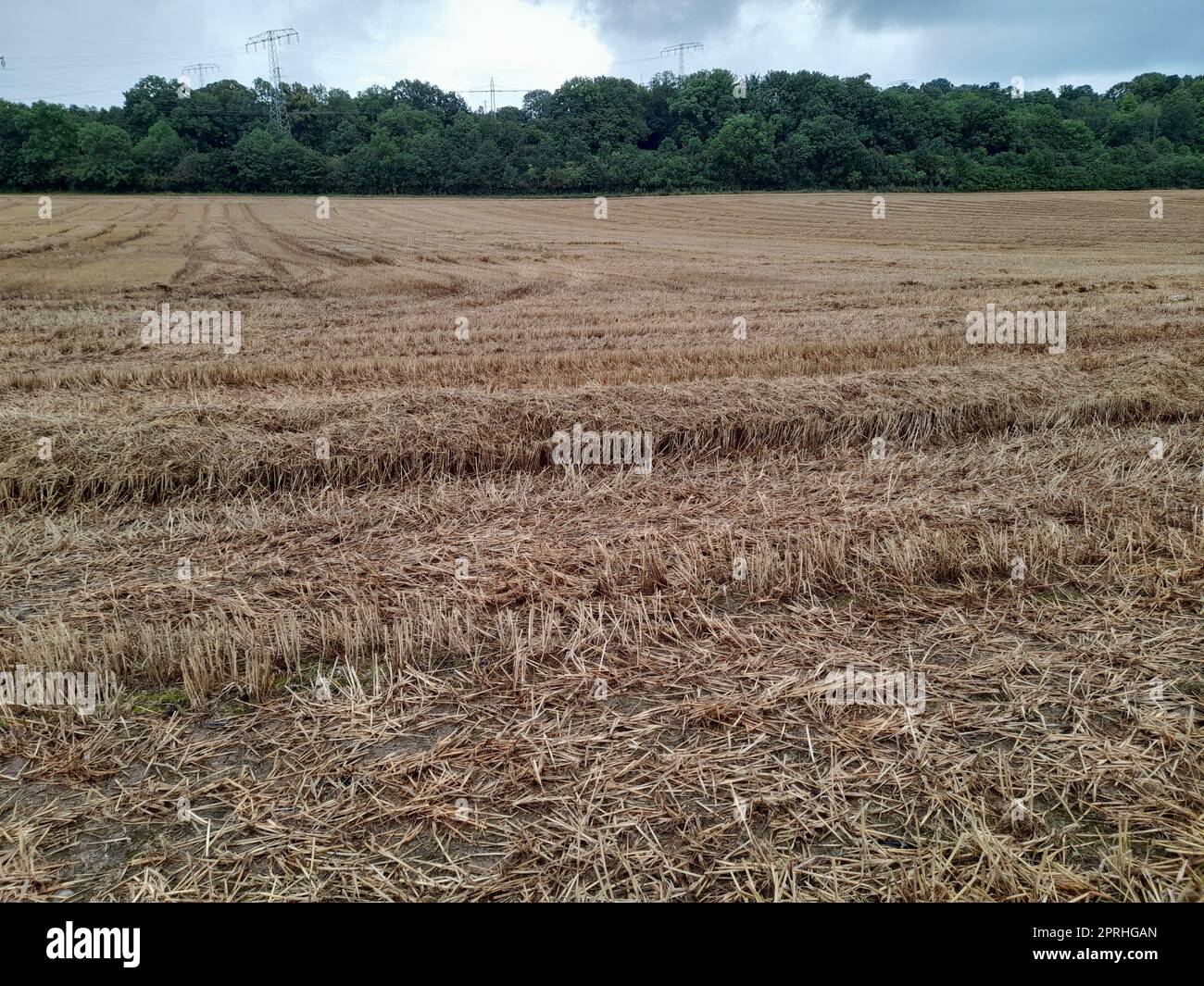 Field mowed hi-res stock photography and images - Alamy
