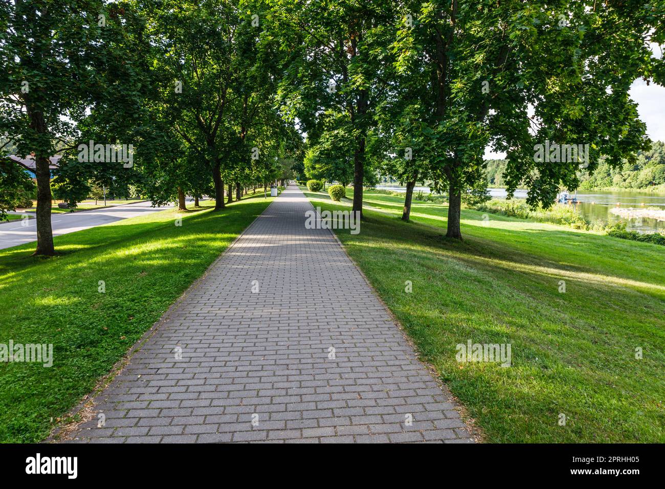 The row of oak trees, grassy lawn, and pathway. Urban recreation and ...