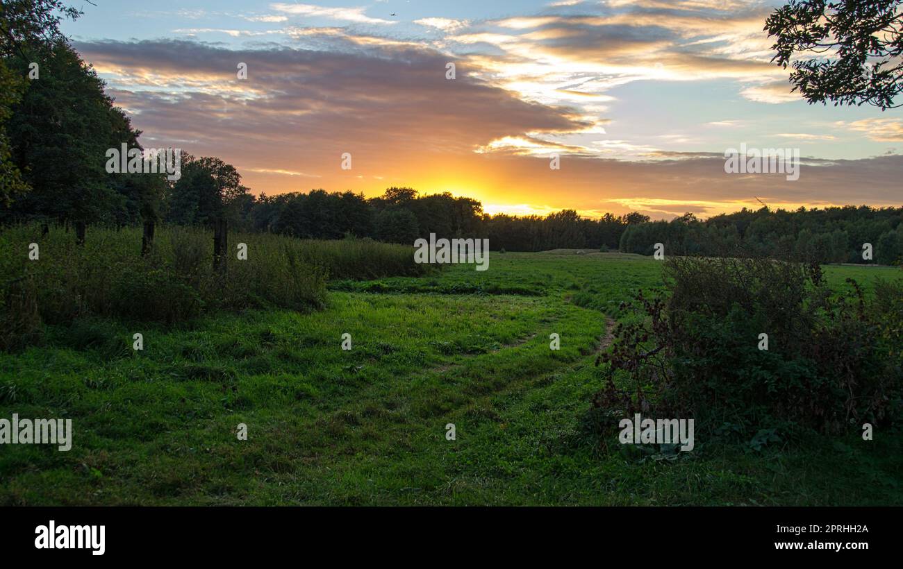Field path across a meadow to the sunset Stock Photo - Alamy
