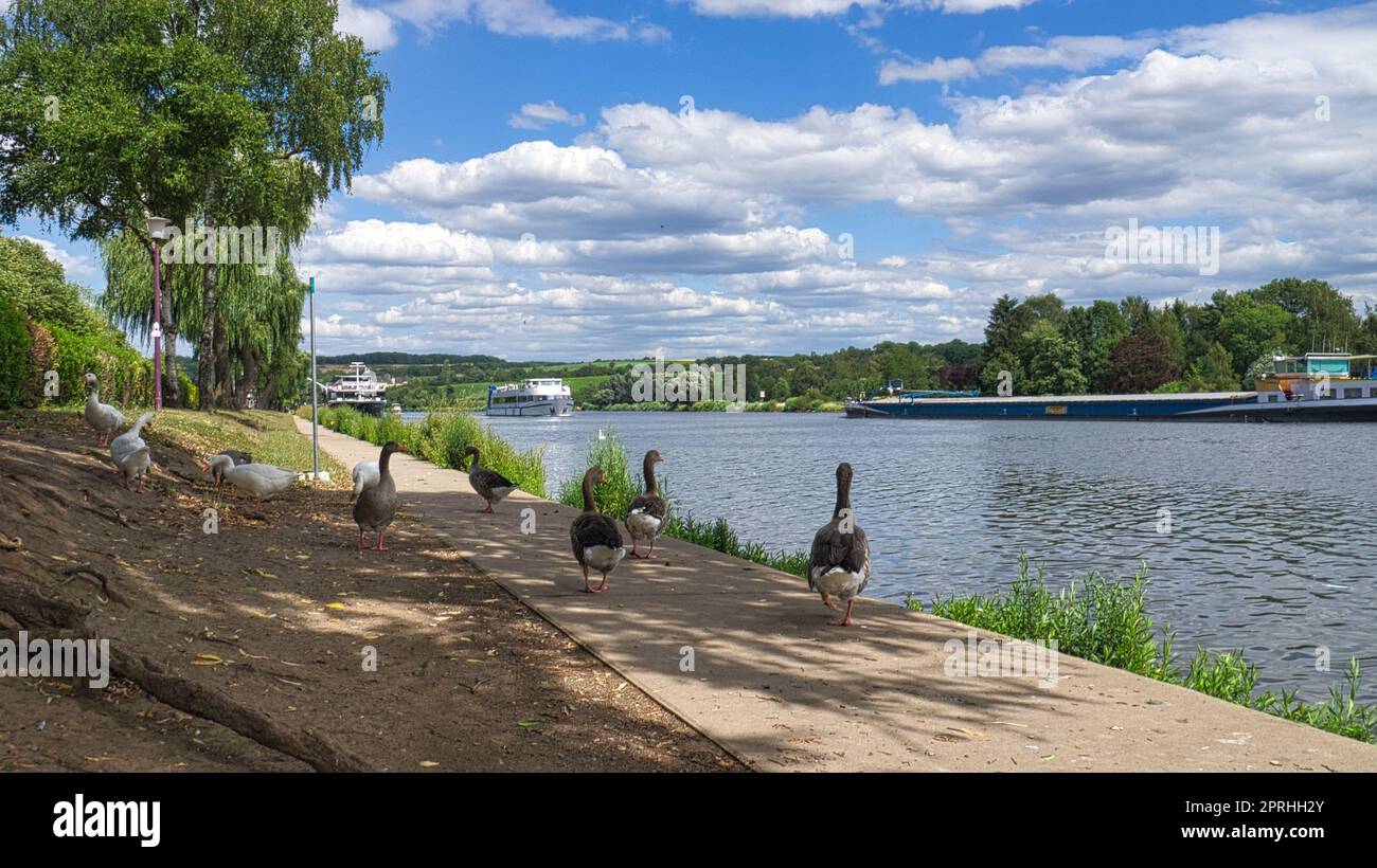 Gait protection hi-res stock photography and images - Alamy