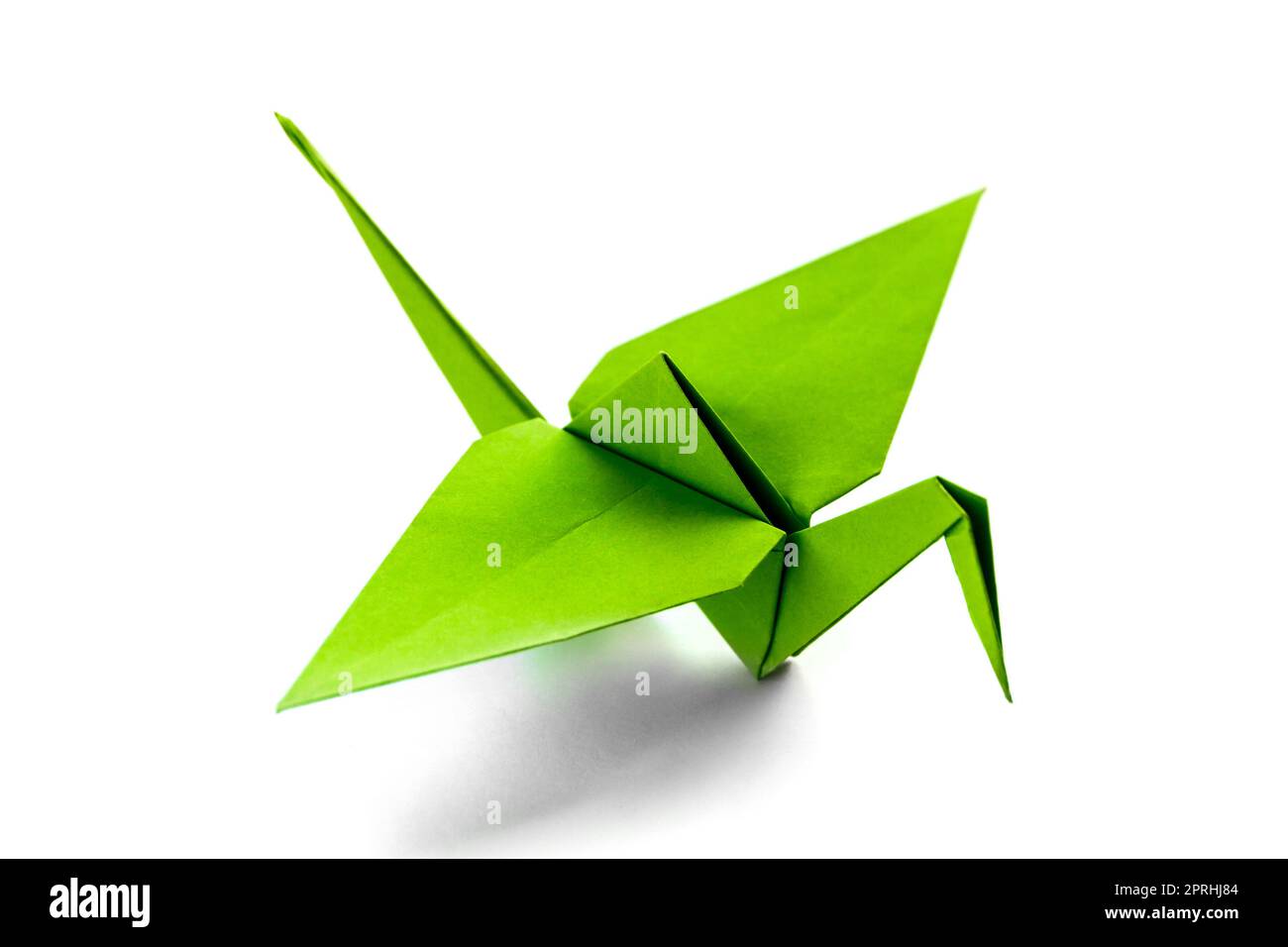 Bird with green background Cut Out Stock Images & Pictures - Alamy