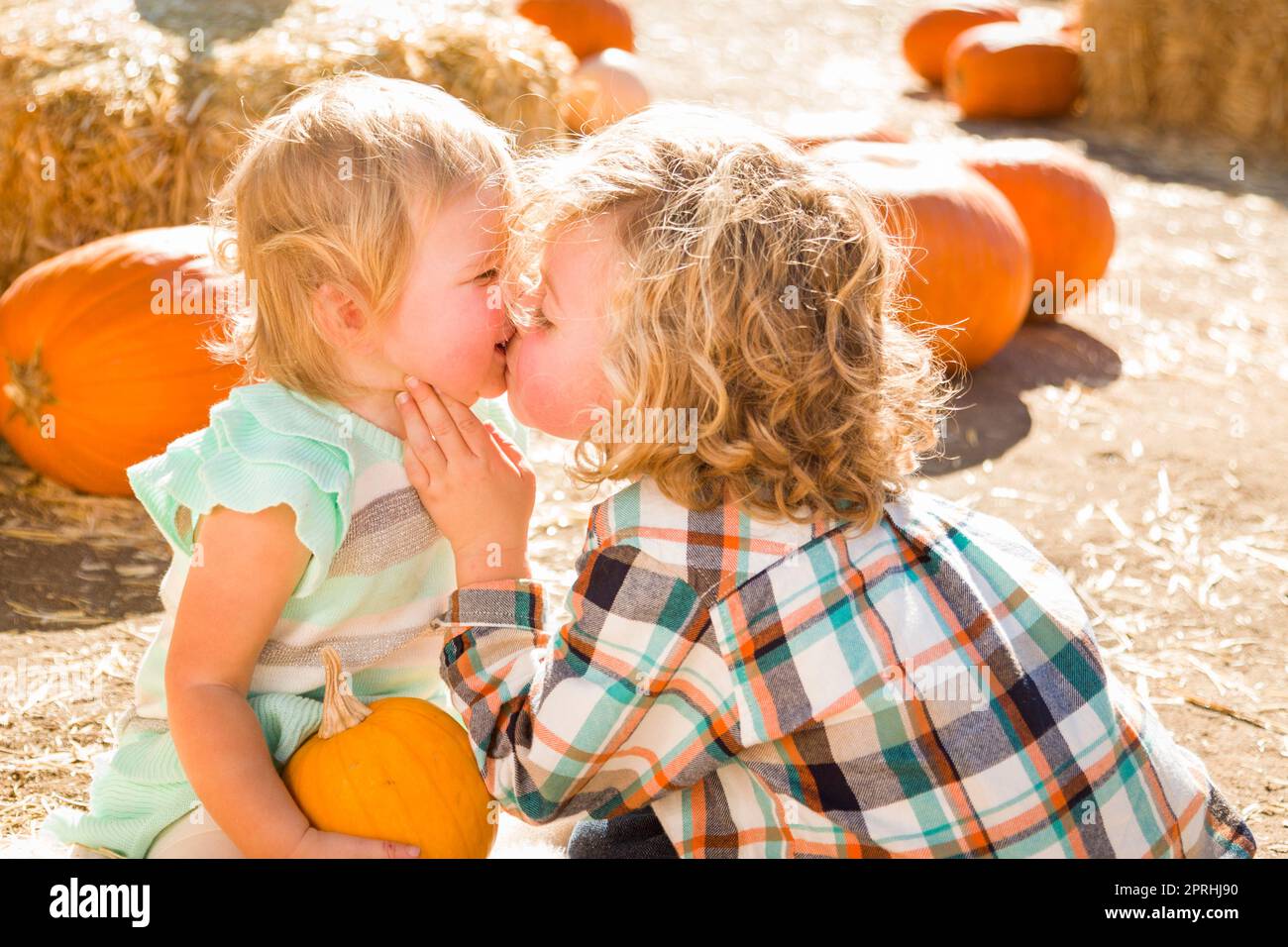 Sweet Little Boy Plays with His Baby Sister in a Rustic Ranch Setting at the Pumpkin Patch Stock ...