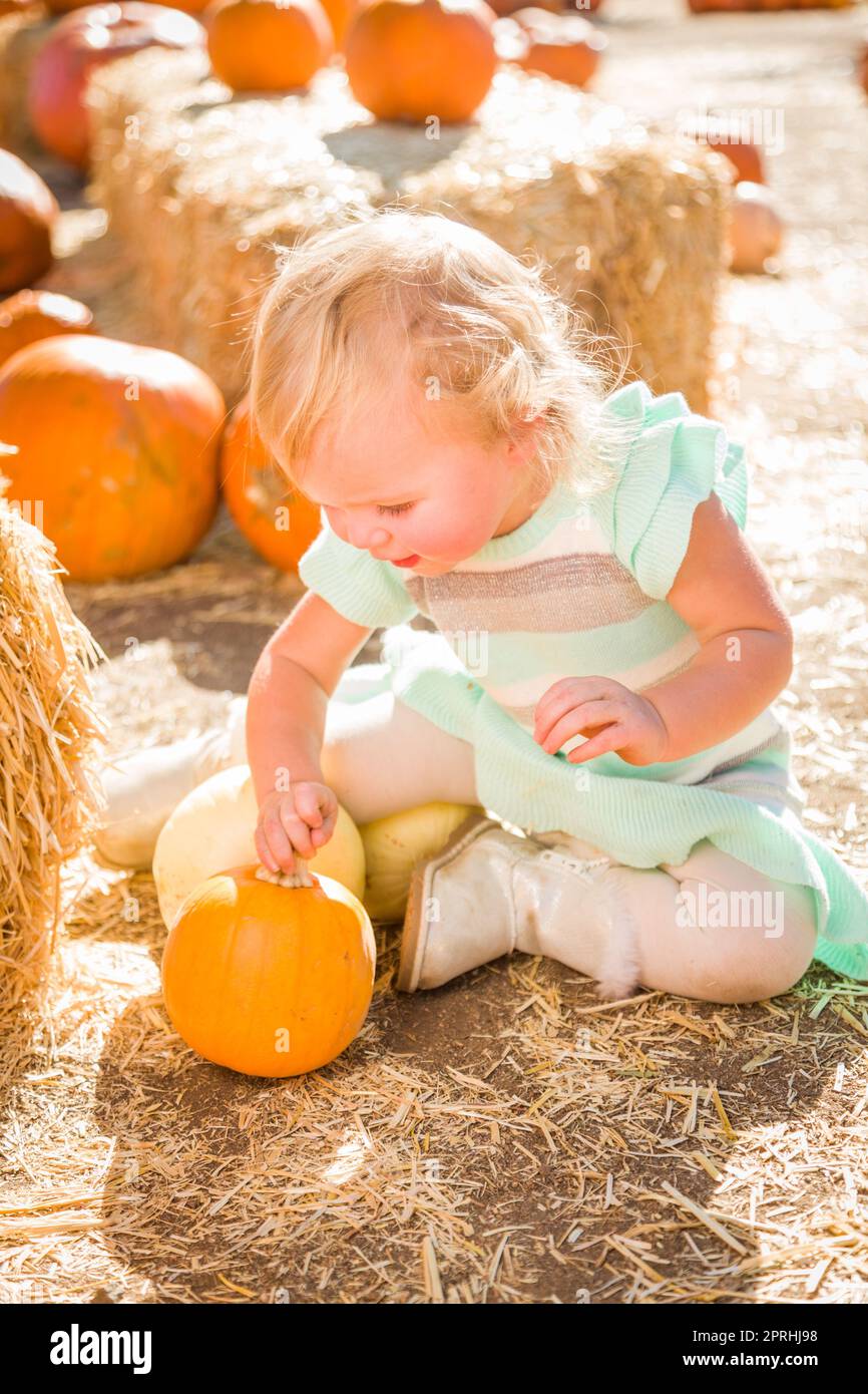 Adorable Baby Girl Having Fun in a Rustic Ranch Setting at the Pumpkin ...