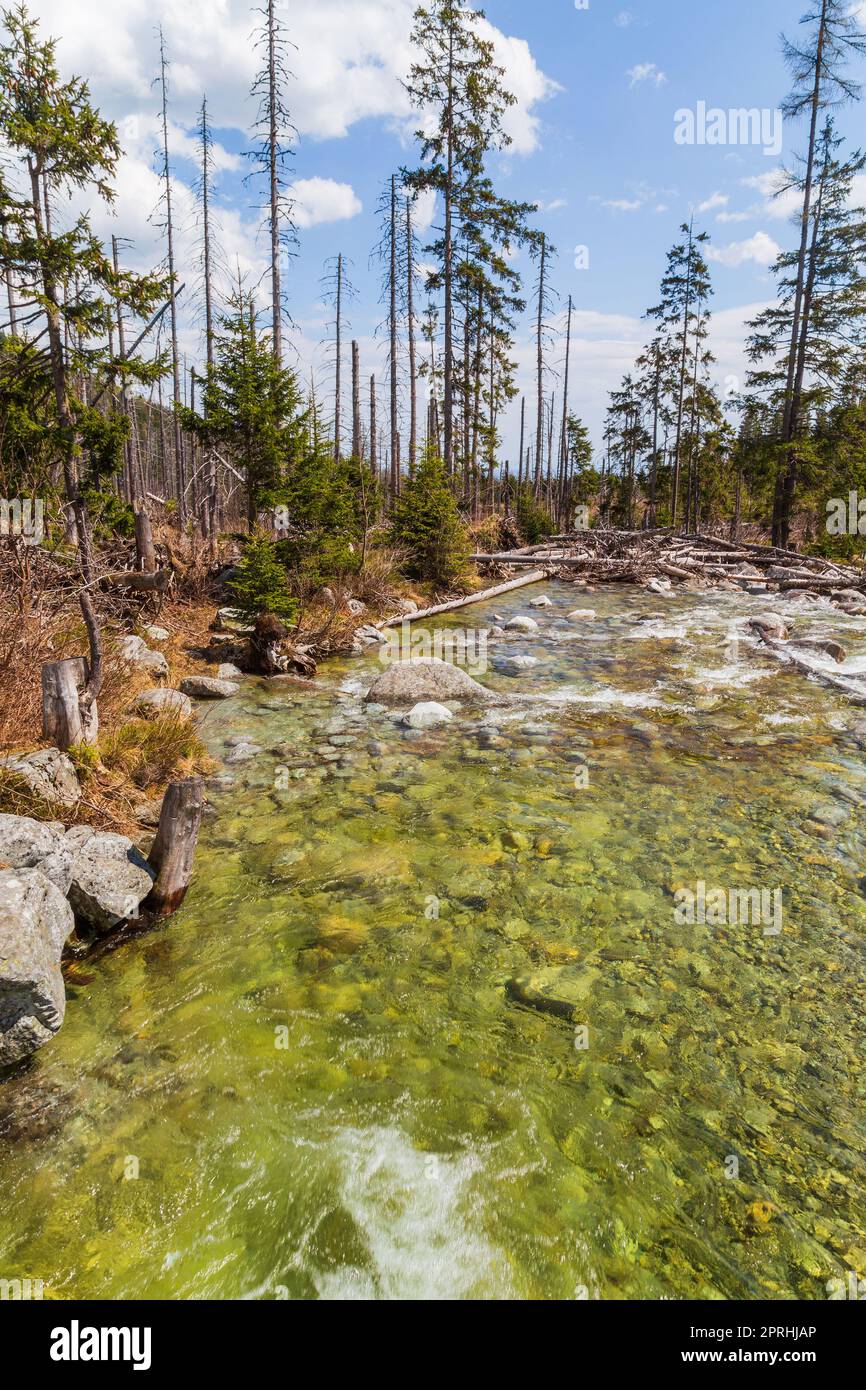 Stream in High Tatras mountains Stock Photo - Alamy