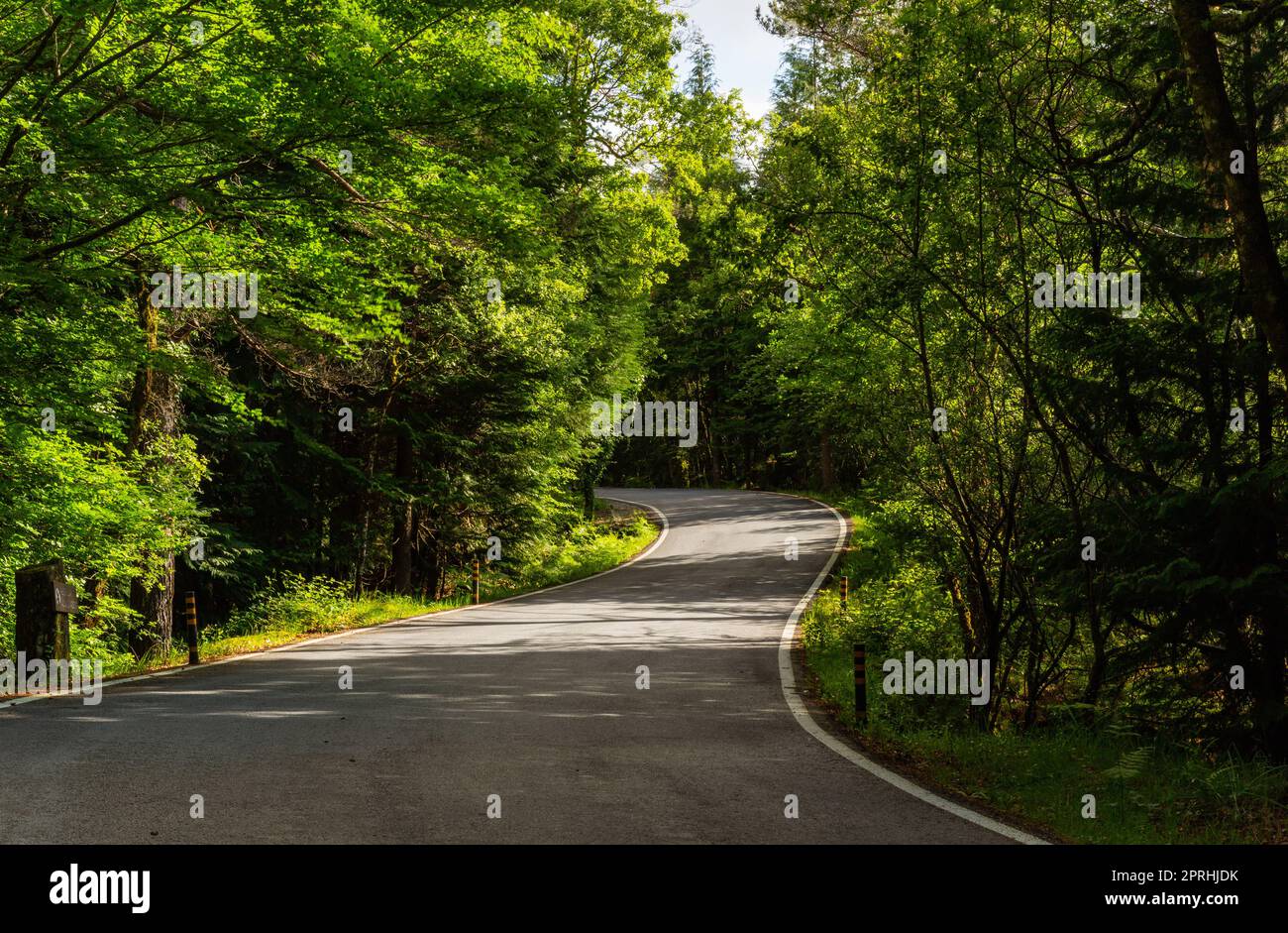 Spring landscape with road Stock Photo - Alamy
