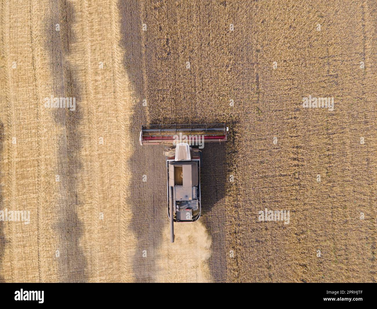 Combines mow wheat in the field.Agro-industry.Combine Harvester Cutting ...