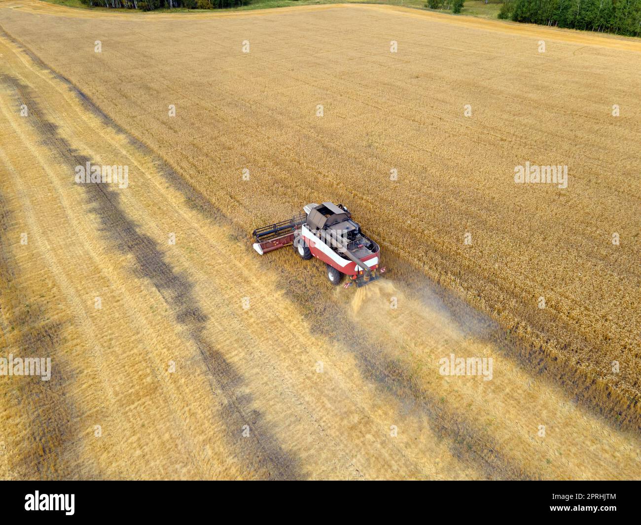 Combines mow wheat in the field.Agro-industry.Combine Harvester Cutting ...