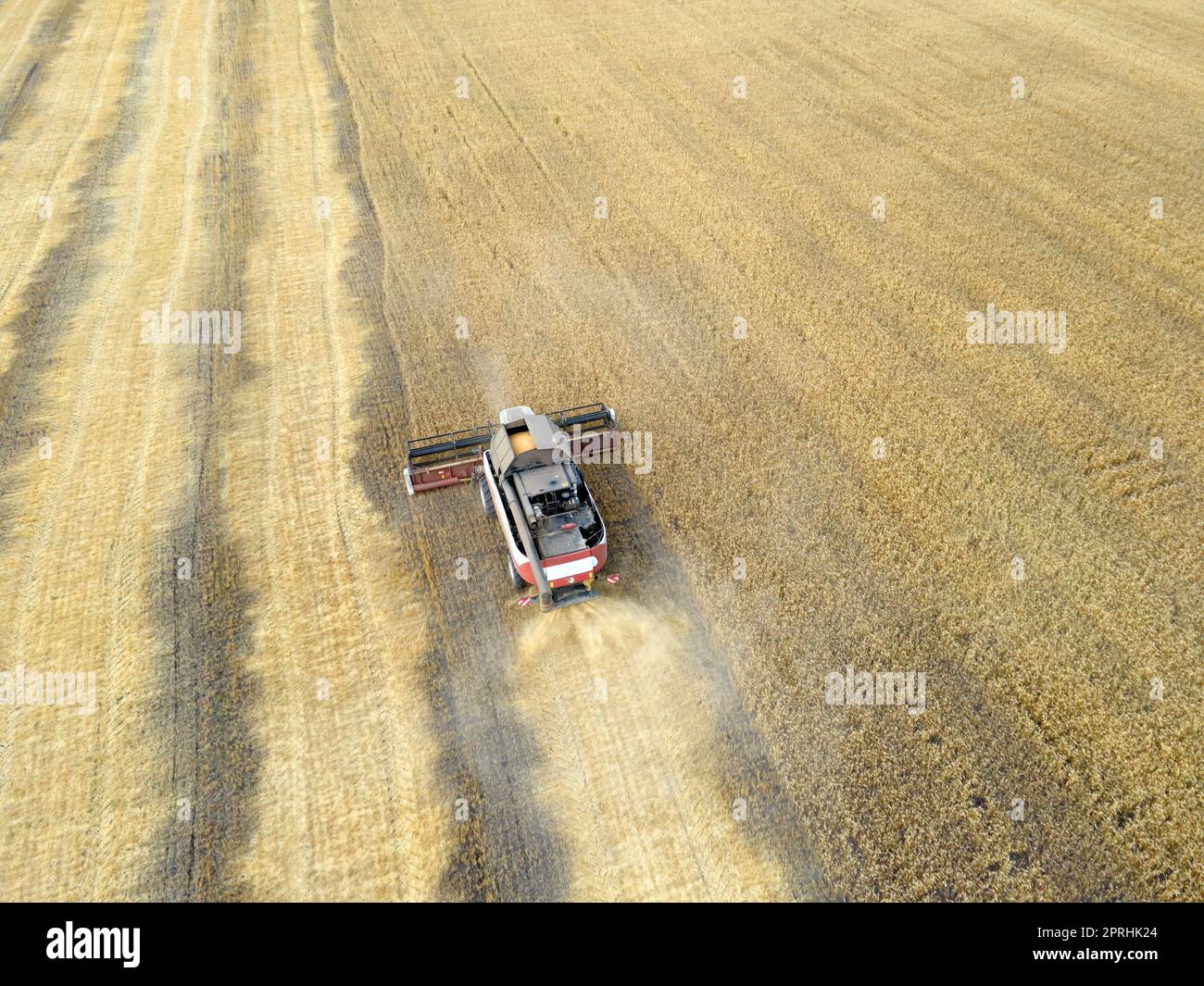 Harvesting of grain crops.Harvesting wheat,oats and barley in fields ...
