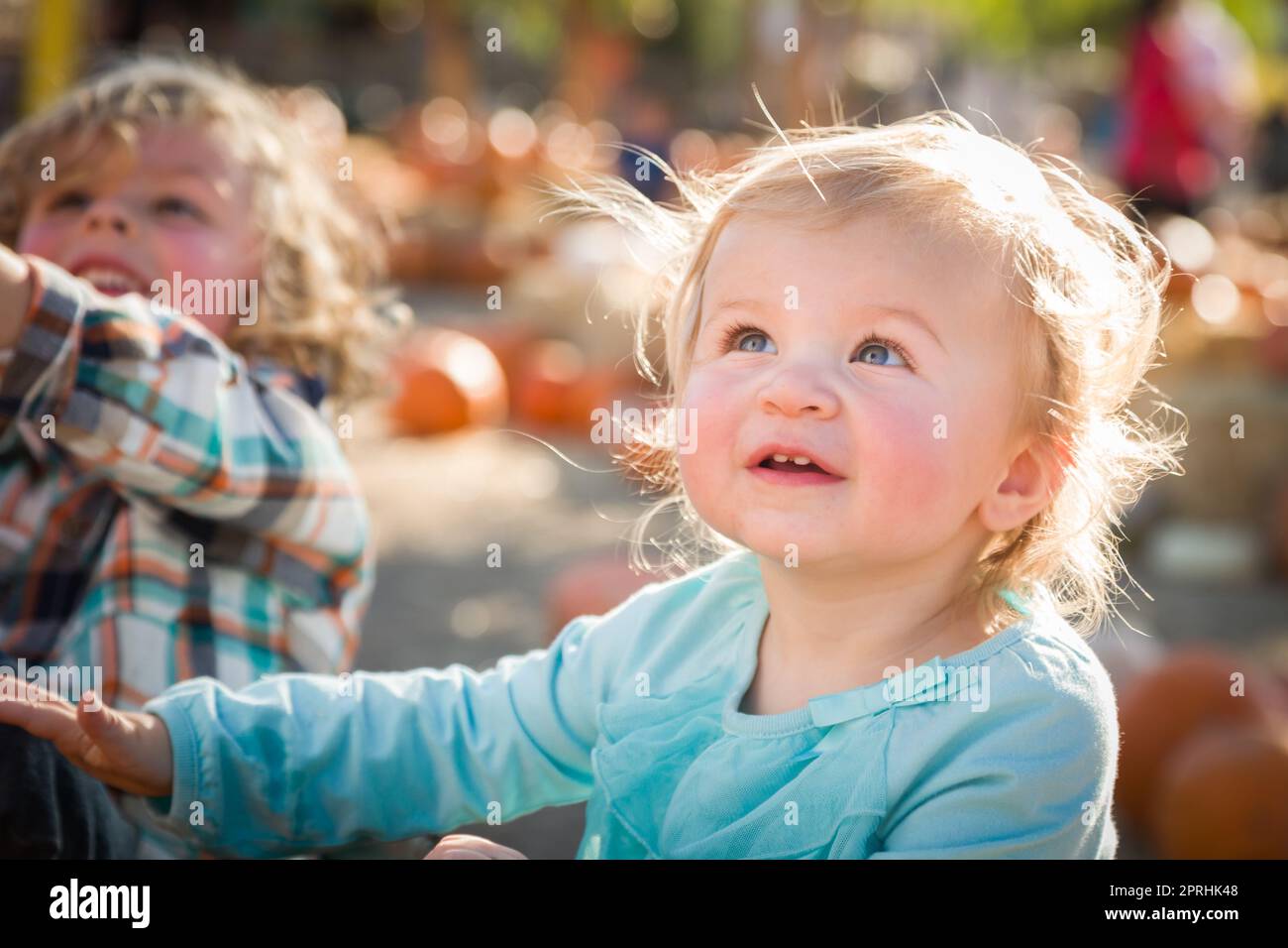 Sweet Little Boy Plays with His Baby Sister in a Rustic Ranch Setting at the Pumpkin Patch Stock ...