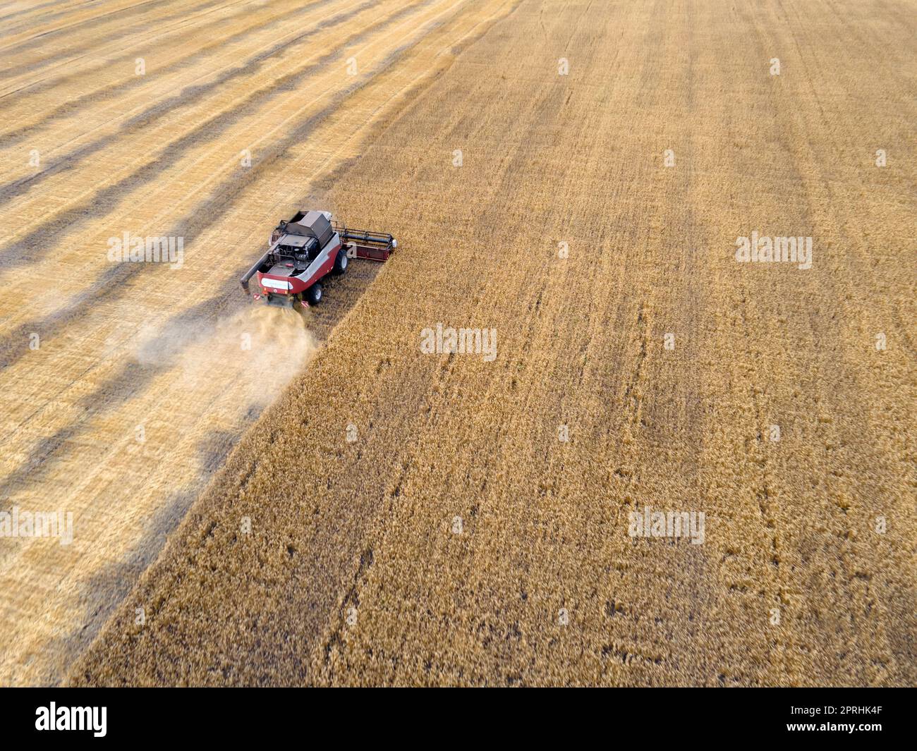 Combines mow wheat in the field.Agro-industry.Combine Harvester Cutting ...