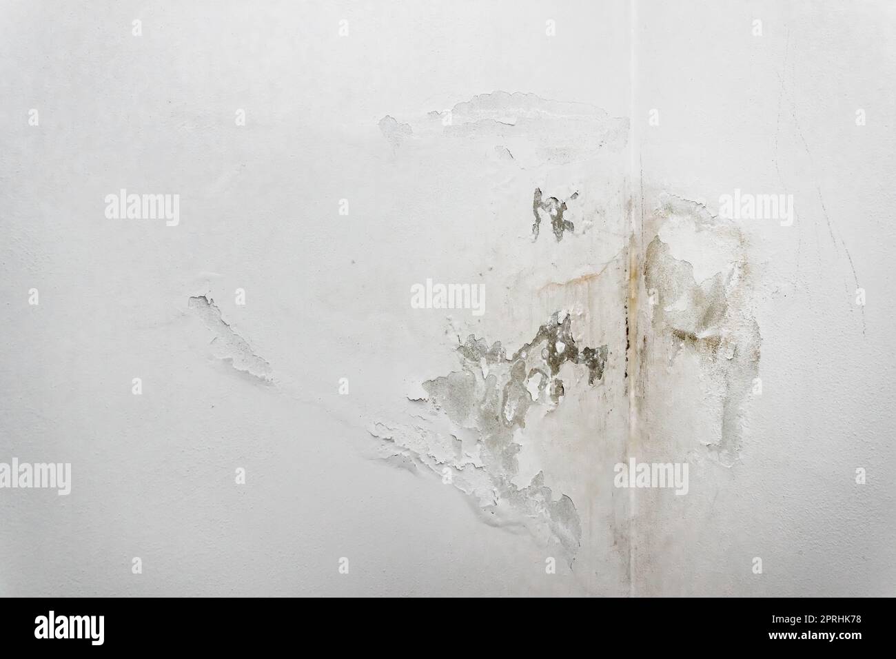 Mold fungus on ceiling and wall of roomcreating health problems for the ...