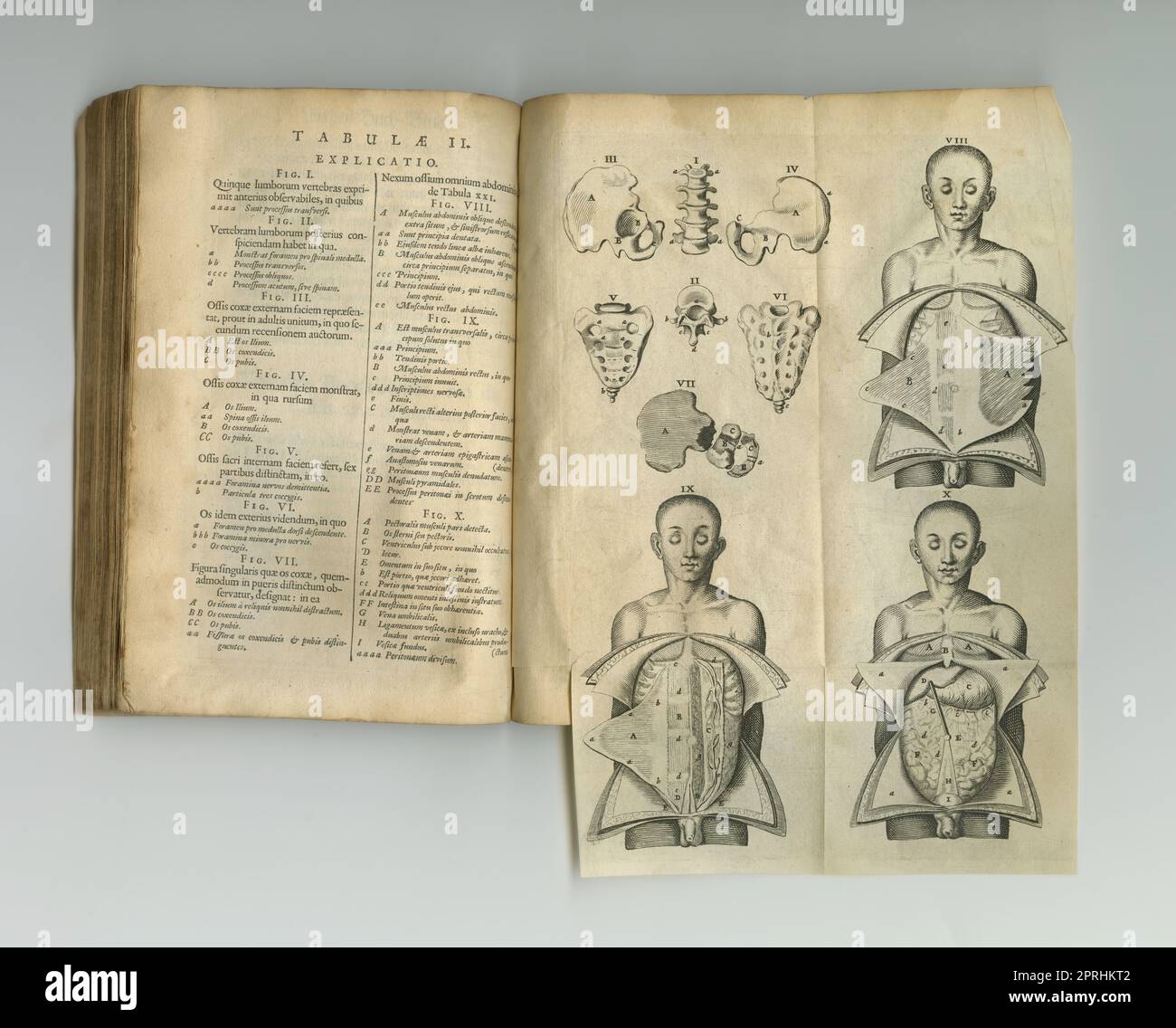 Old biological textbook. An old anatomy book with its pages on display ...