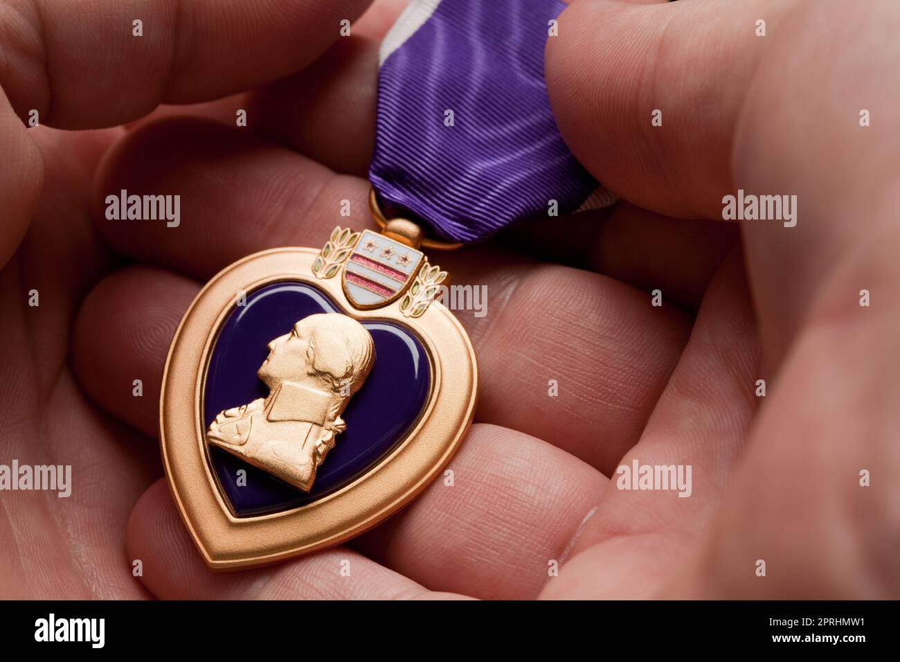 Man Holding Purple Heart War Medal in The Palm of His Hand Stock Photo ...