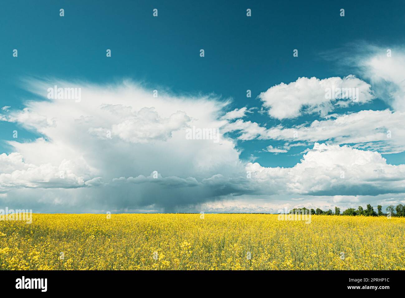 Dramatic Rain Sky With Rain Clouds On Horizon Above Rural Landscape ...