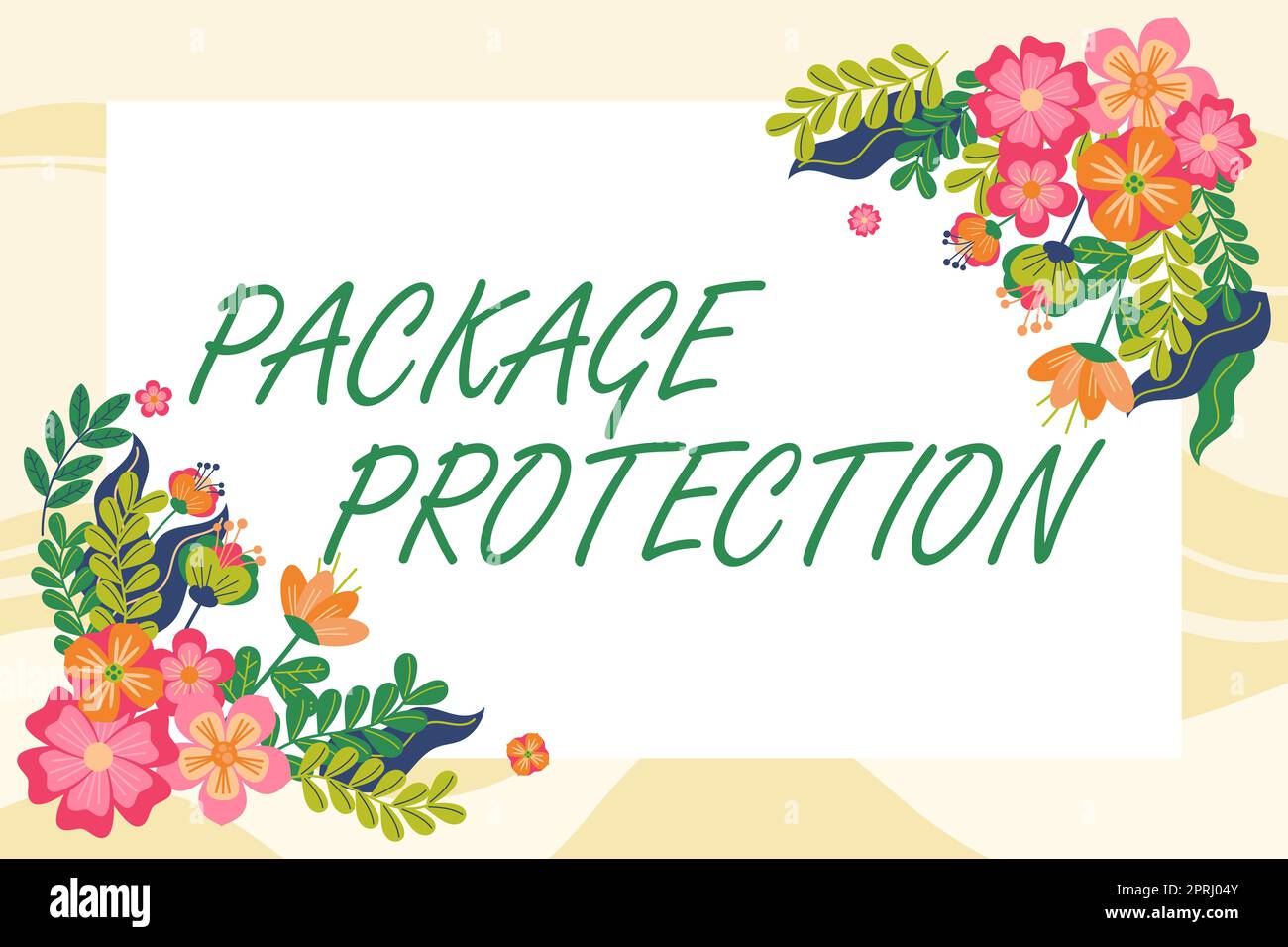 Conceptual display Package ProtectionWrapping and Securing items to ...