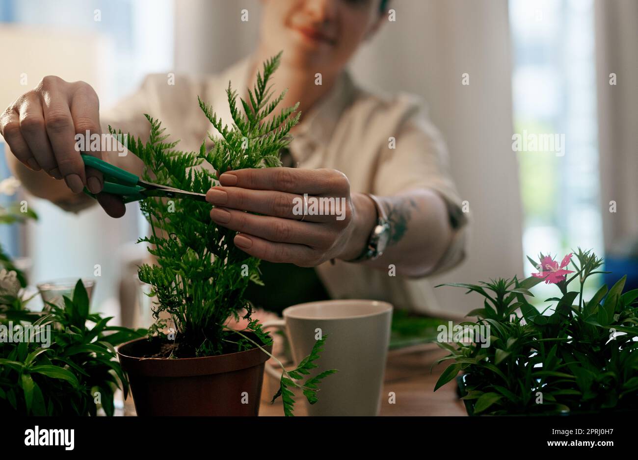 Cutting off leaves hi-res stock photography and images - Alamy