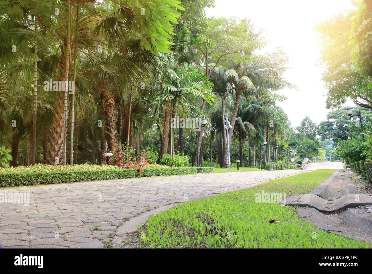 Parkland walk green way hi-res stock photography and images - Alamy