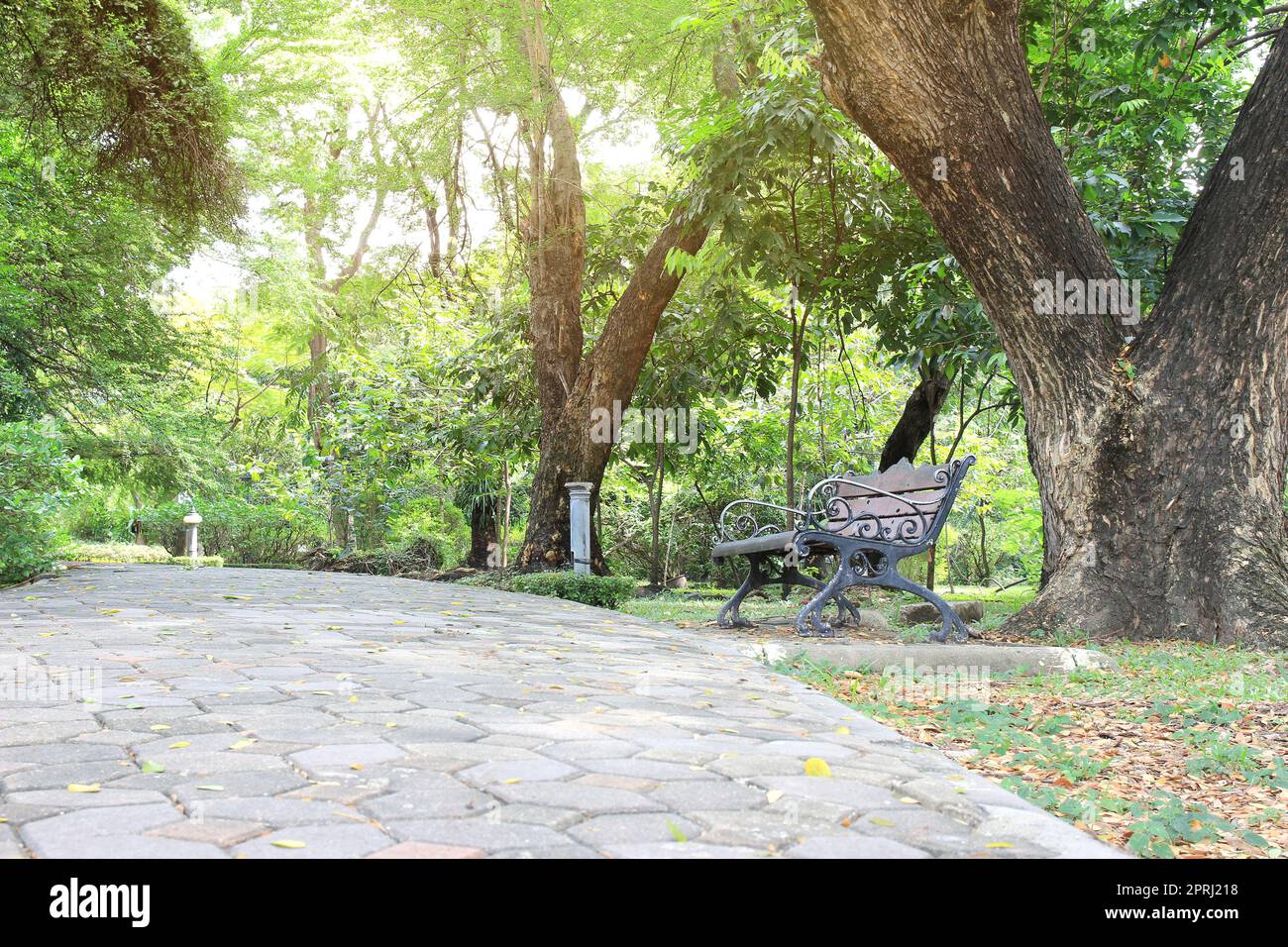 Public park path bench hi-res stock photography and images - Alamy
