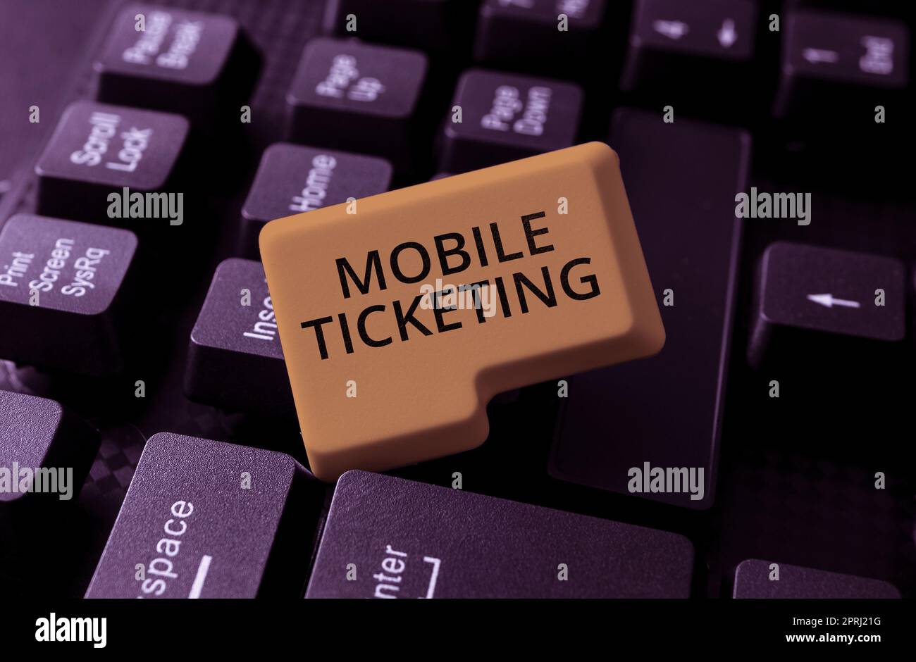 Writing displaying text Mobile Ticketing, Concept meaning concealment ...