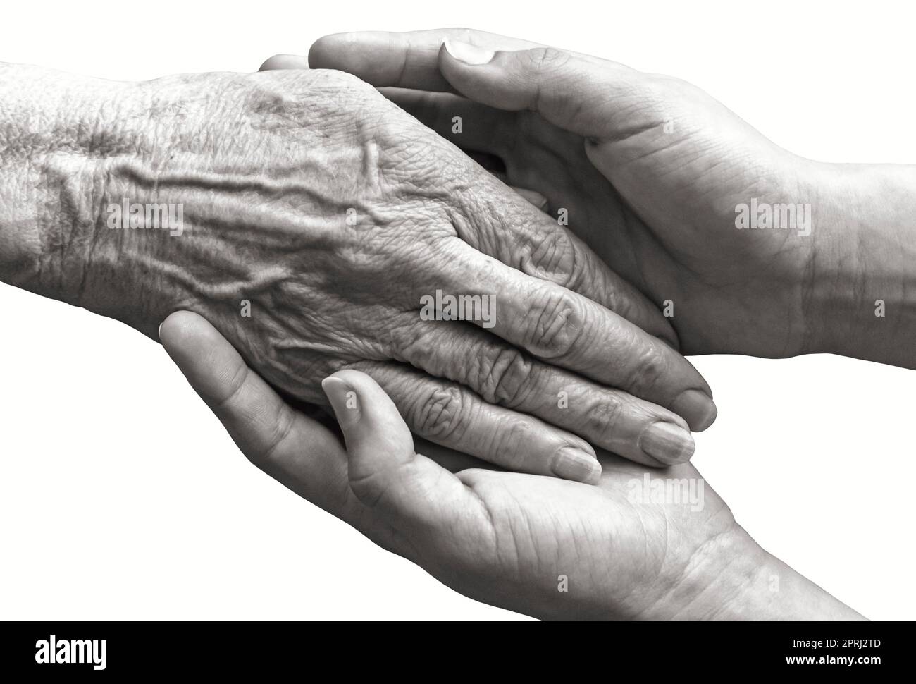 Young hands holding old woman palm, isolated closeup black and white ...