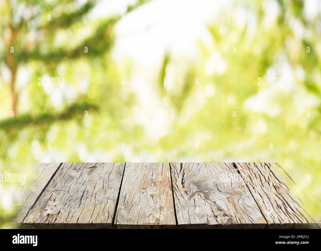 Empty wood plank table top with blur green nature leaves background ...