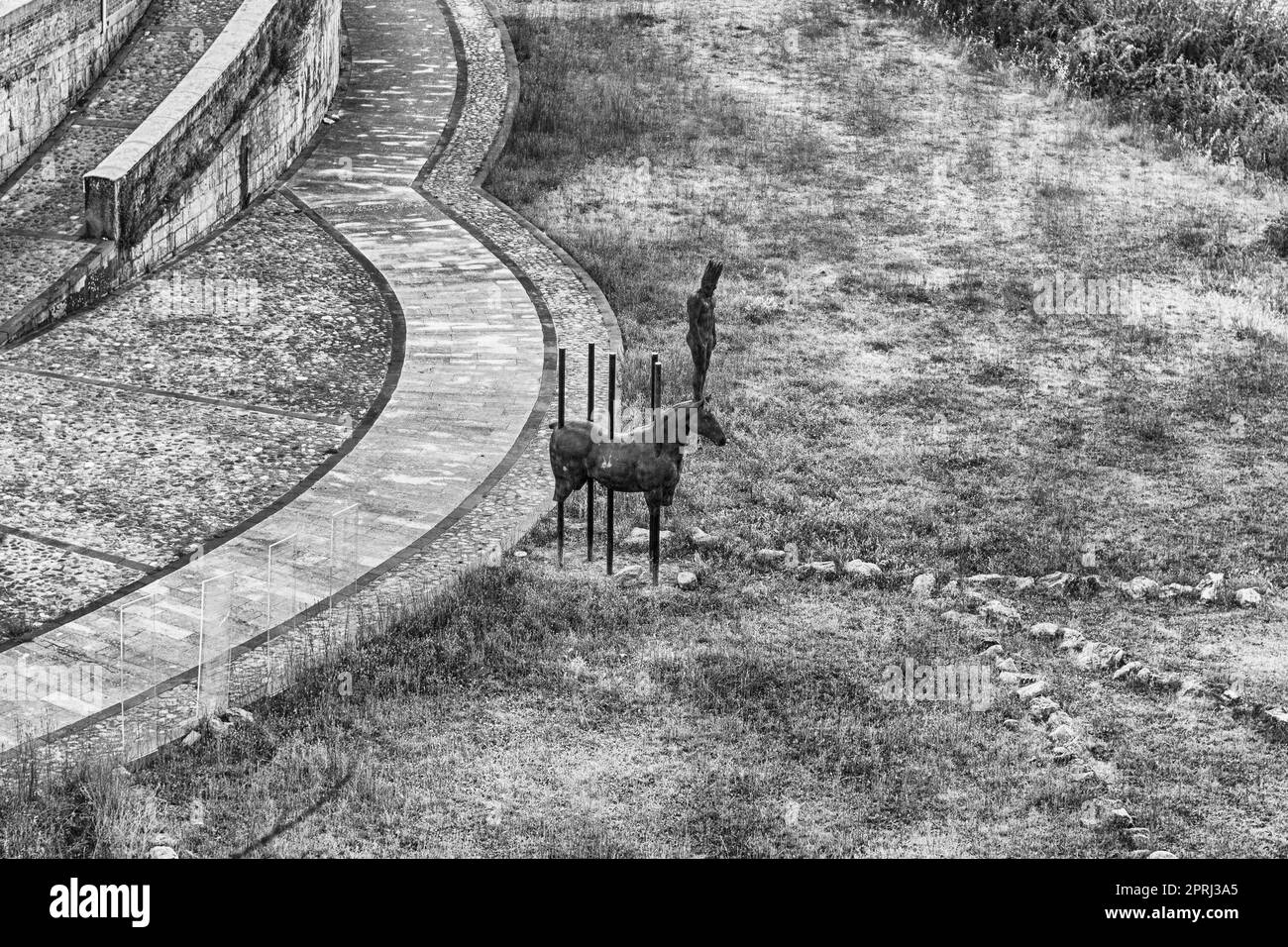Statue of King Alaric I, landmark in Cosenza, Italy Stock Photo - Alamy