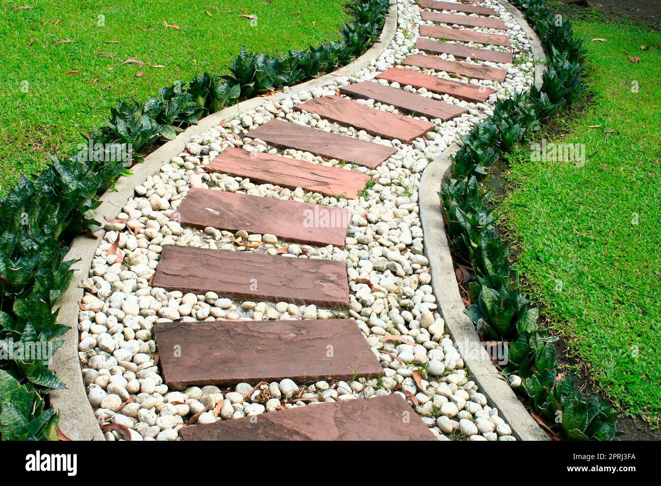 green grass and stone walkway in the park Stock Photo - Alamy