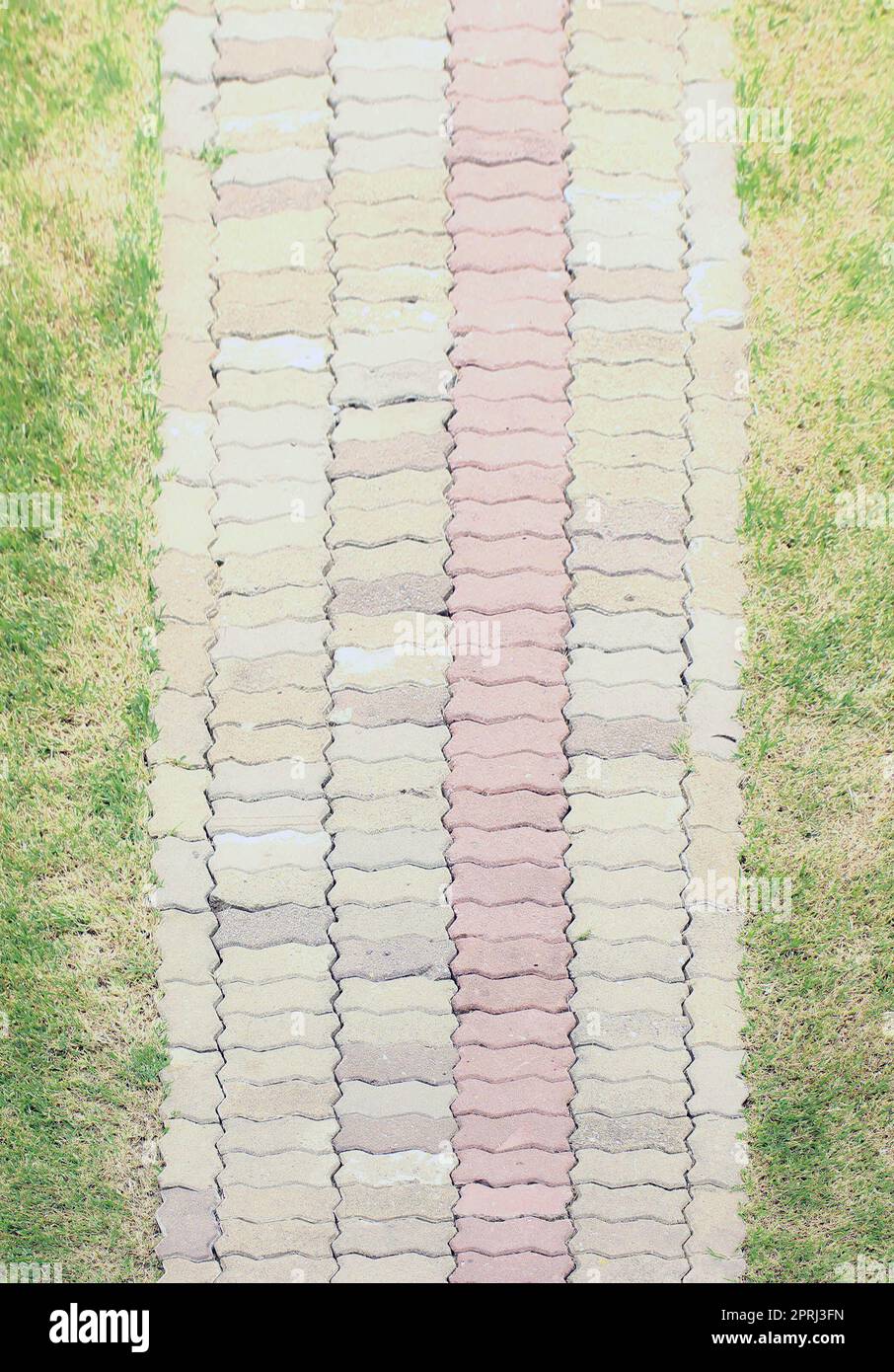 Paving stone on grass hi-res stock photography and images - Alamy