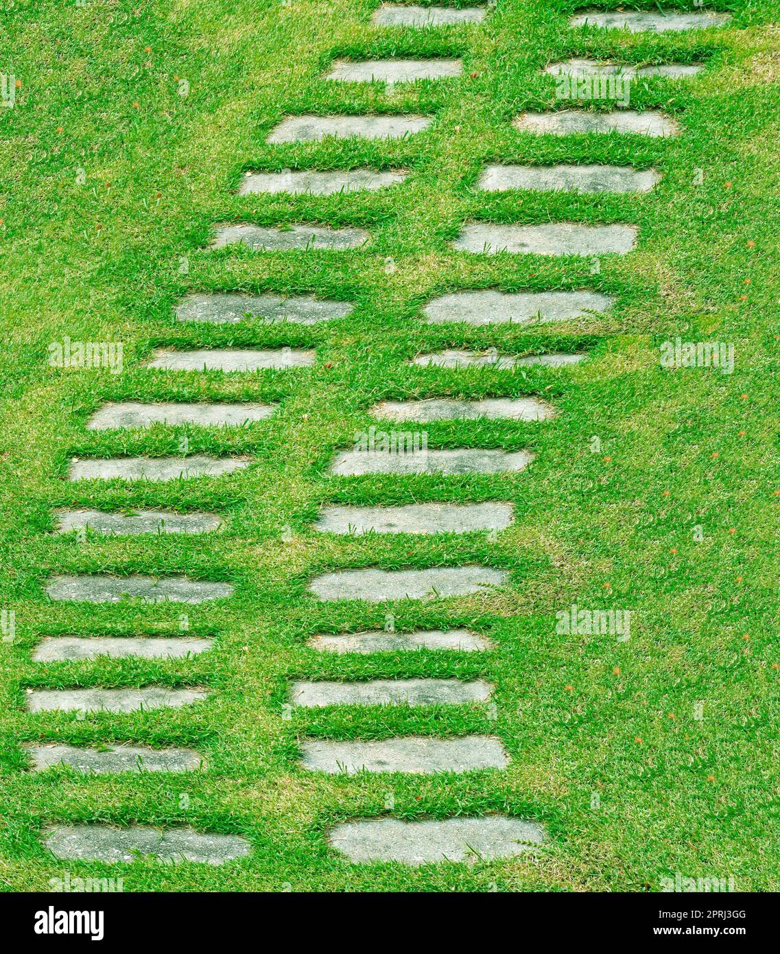 Stone pathway walkway pavement hi-res stock photography and images - Alamy