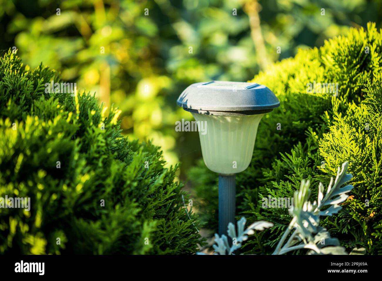 Beautiful Small Solar Garden Light, Lanterns In Flower Bed. Garden ...