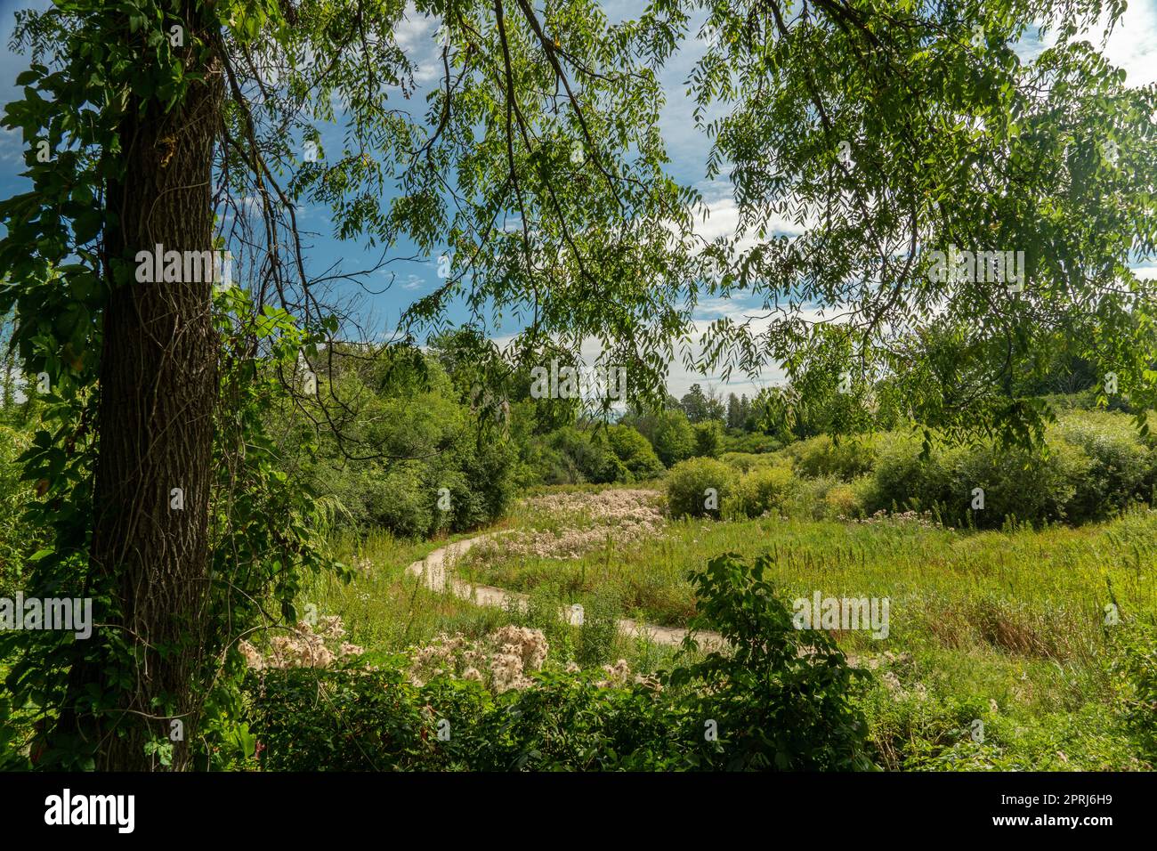 Uncontrolled nature hi-res stock photography and images - Alamy