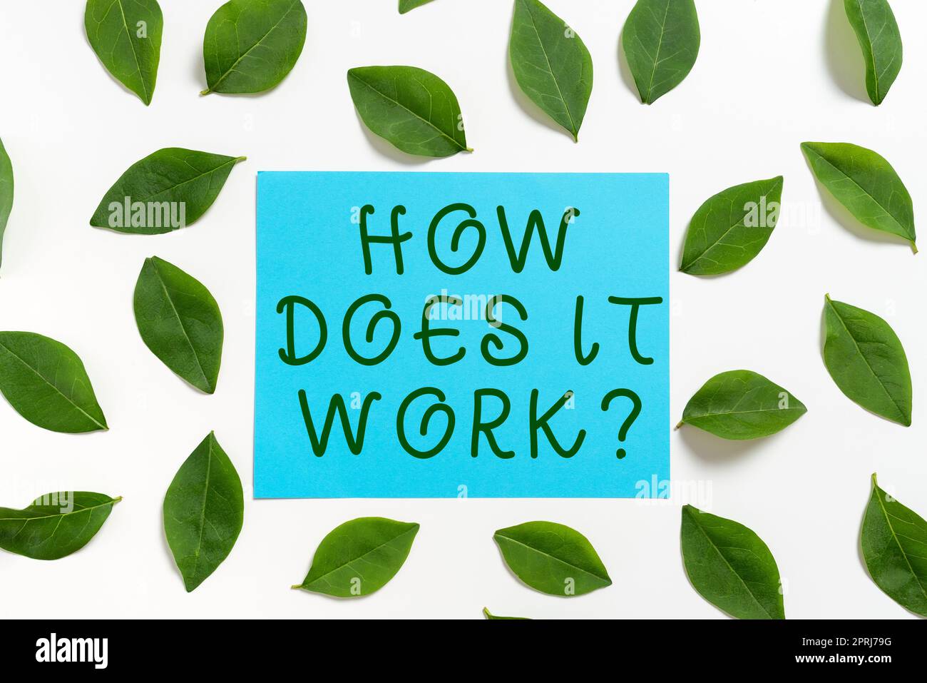 Conceptual caption How Does It Work questionAsking on how stuff being ...