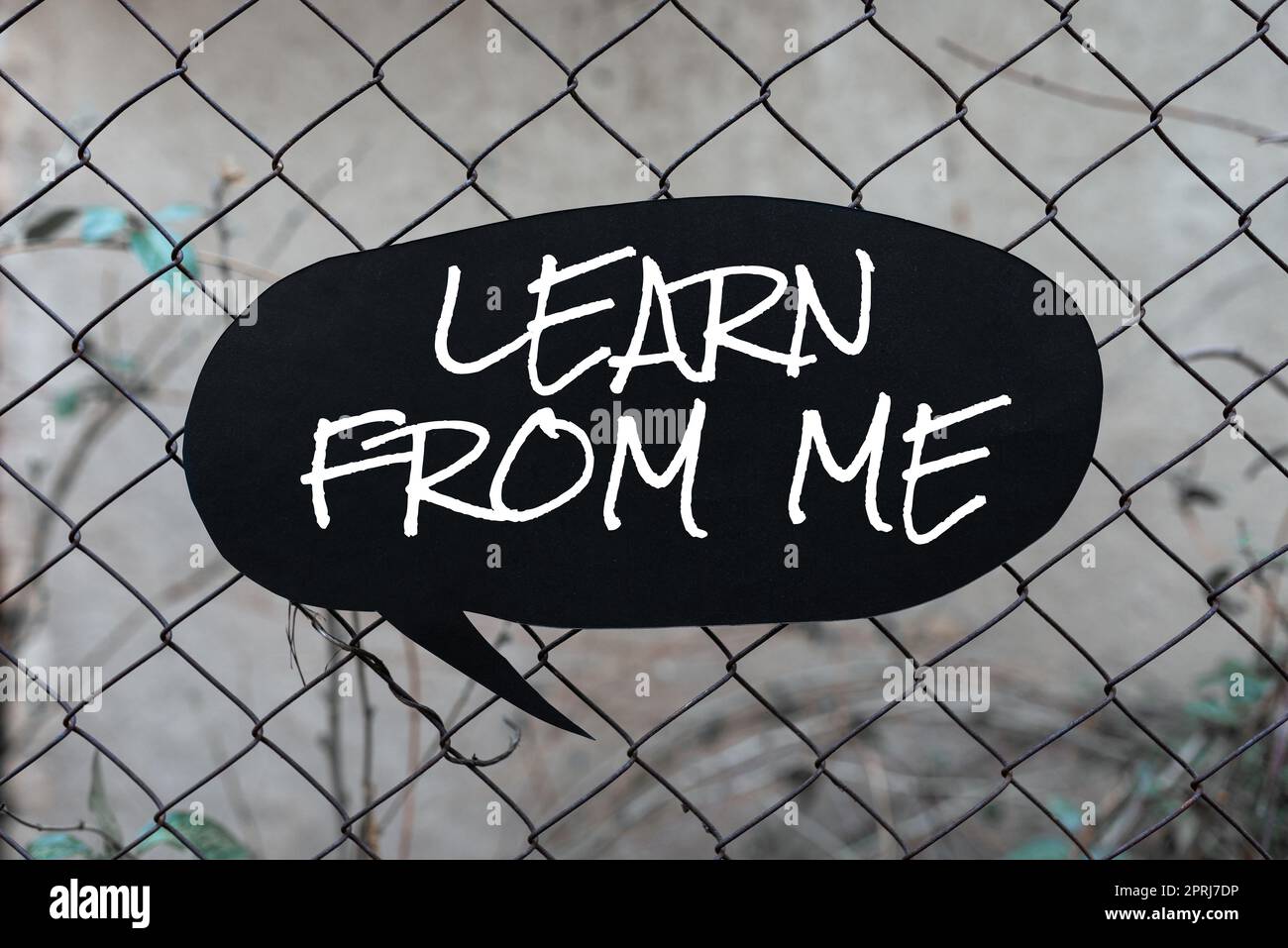 Text showing inspiration Learn From Me. Business showcase Follow my ...