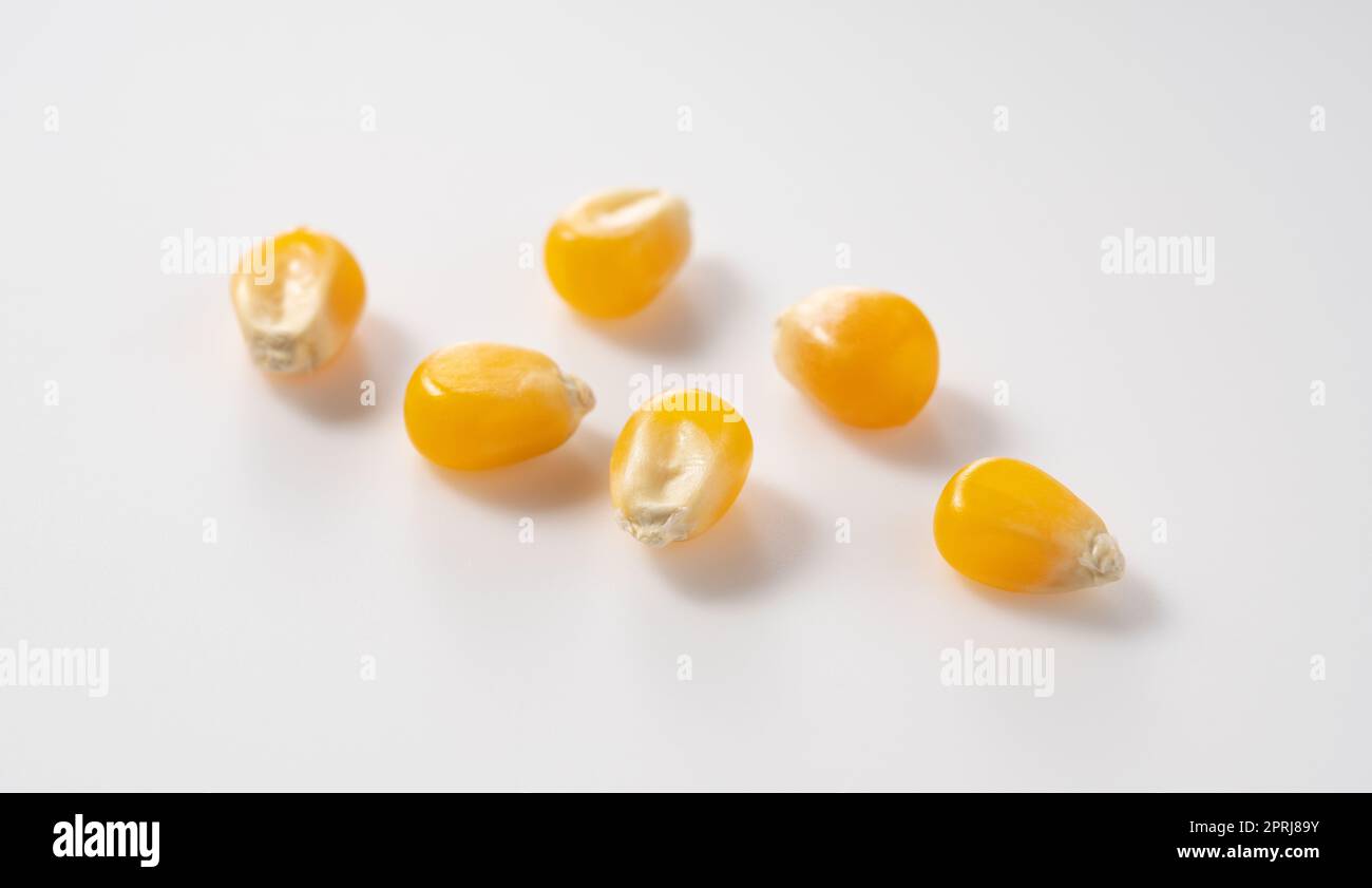 Dried corn kernels placed on white background Stock Photo - Alamy
