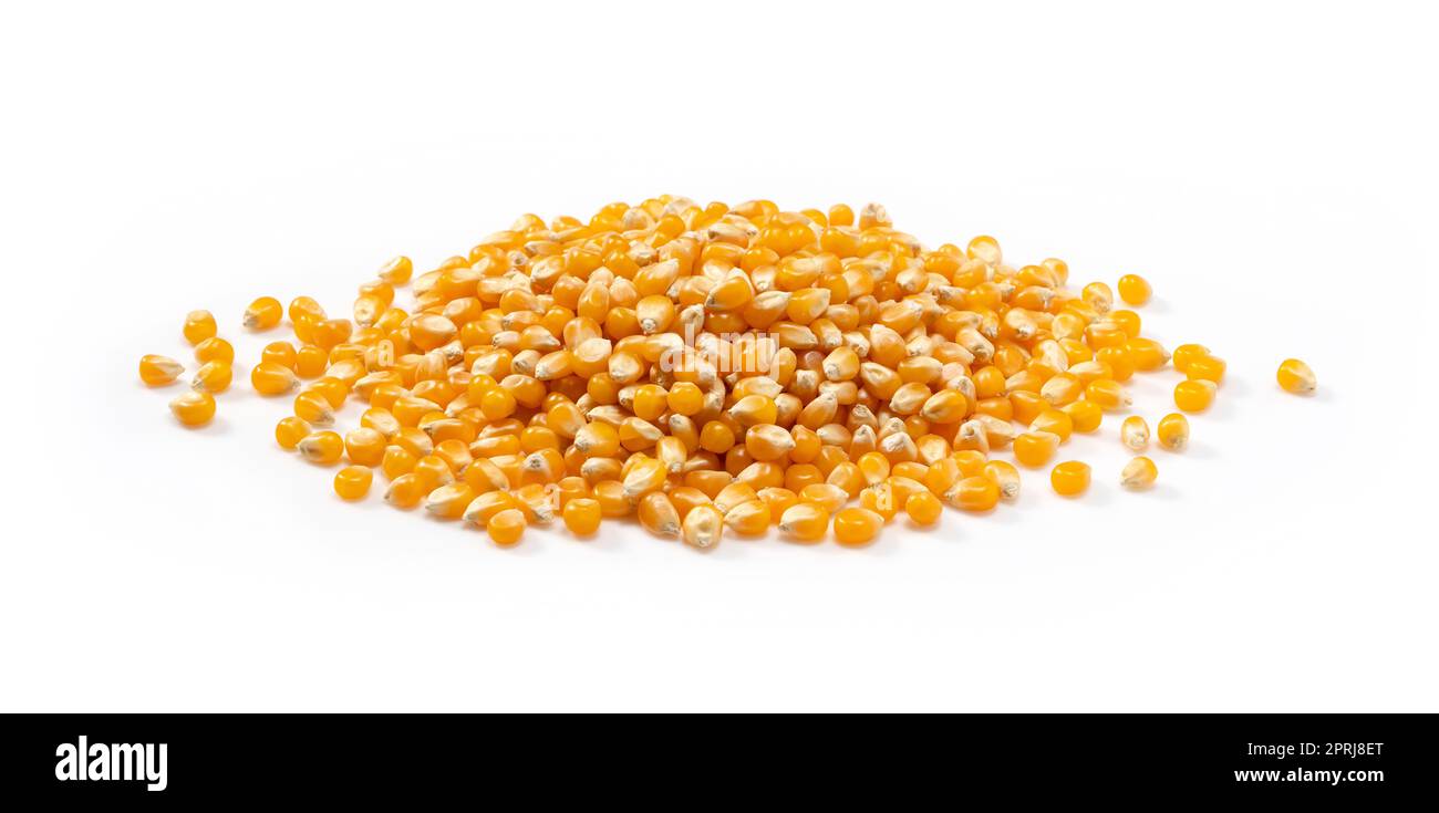 Dried corn kernels placed on white background Stock Photo - Alamy