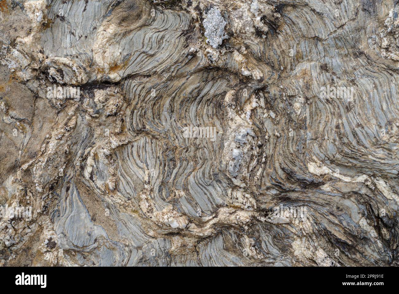 Rough and irregular hi-res stock photography and images - Alamy