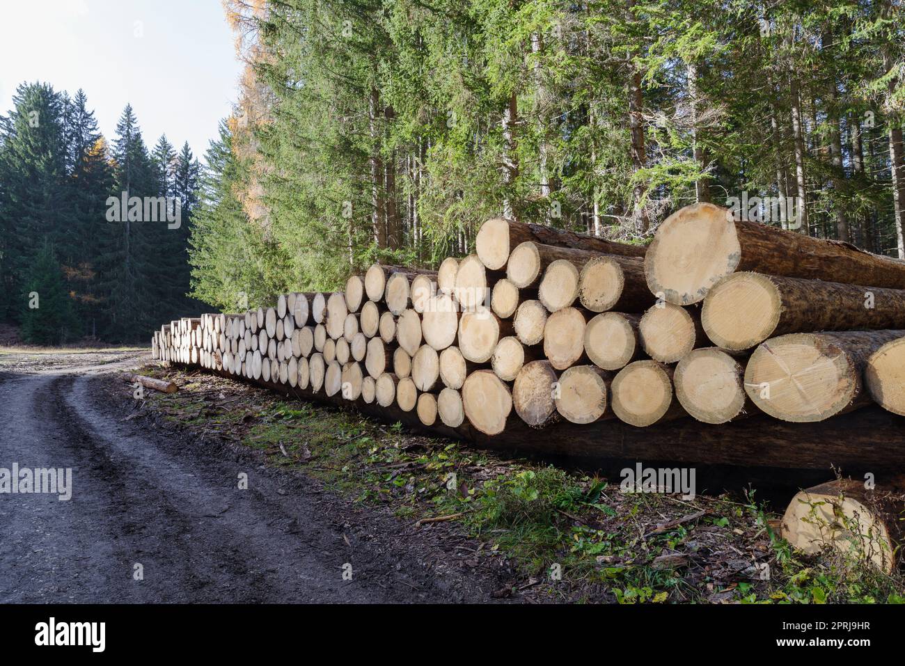 Cut and awaiting transport hi-res stock photography and images - Alamy