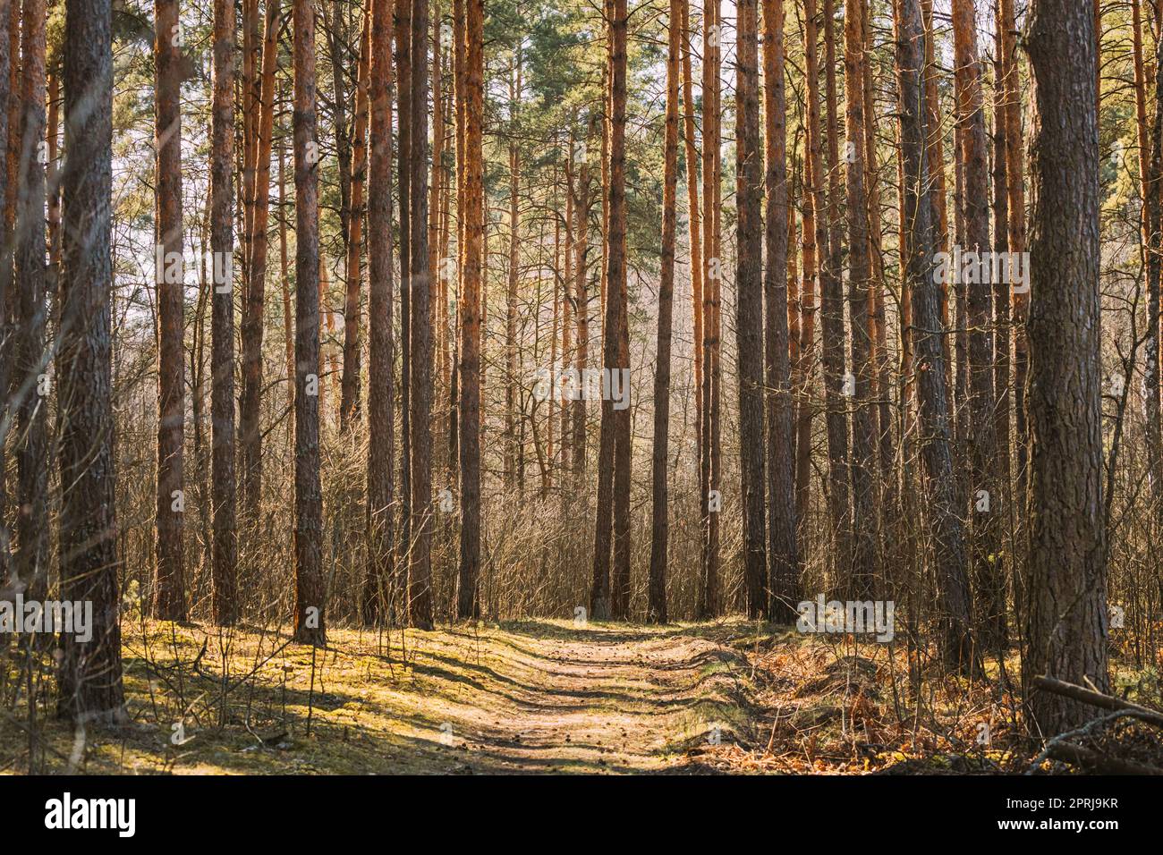 Sunny lane hi-res stock photography and images - Alamy