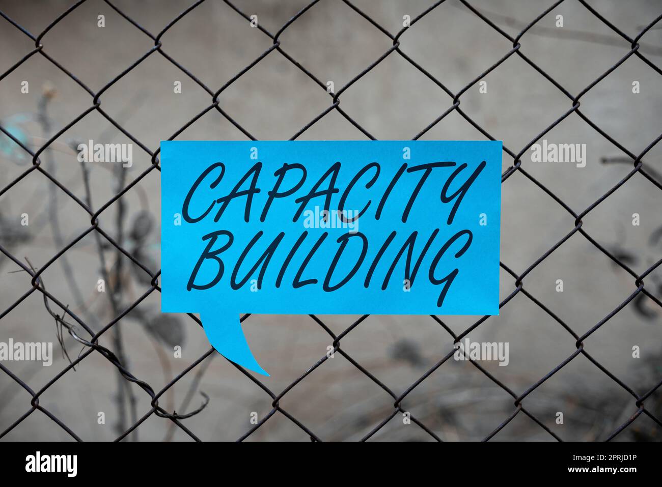 Conceptual caption Capacity BuildingStrengthen the abilities of ...