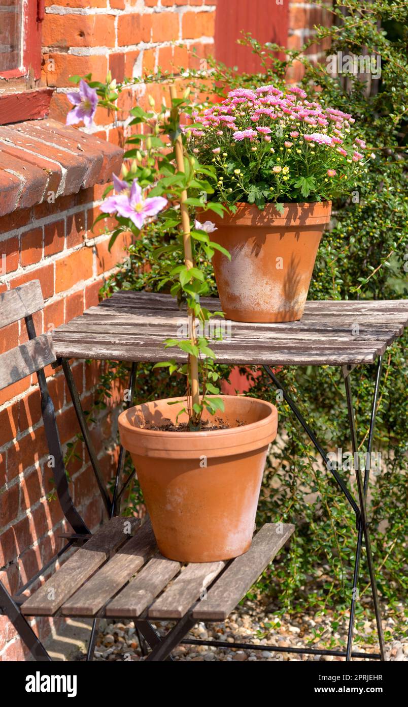 Budding flowers hi-res stock photography and images - Alamy