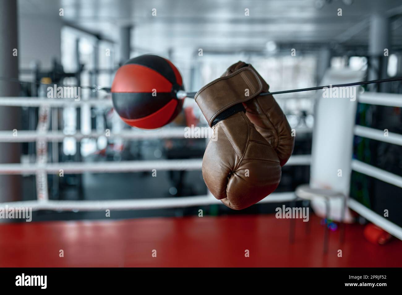 Boxing gloves hanging on speed punching ball Stock Photo - Alamy