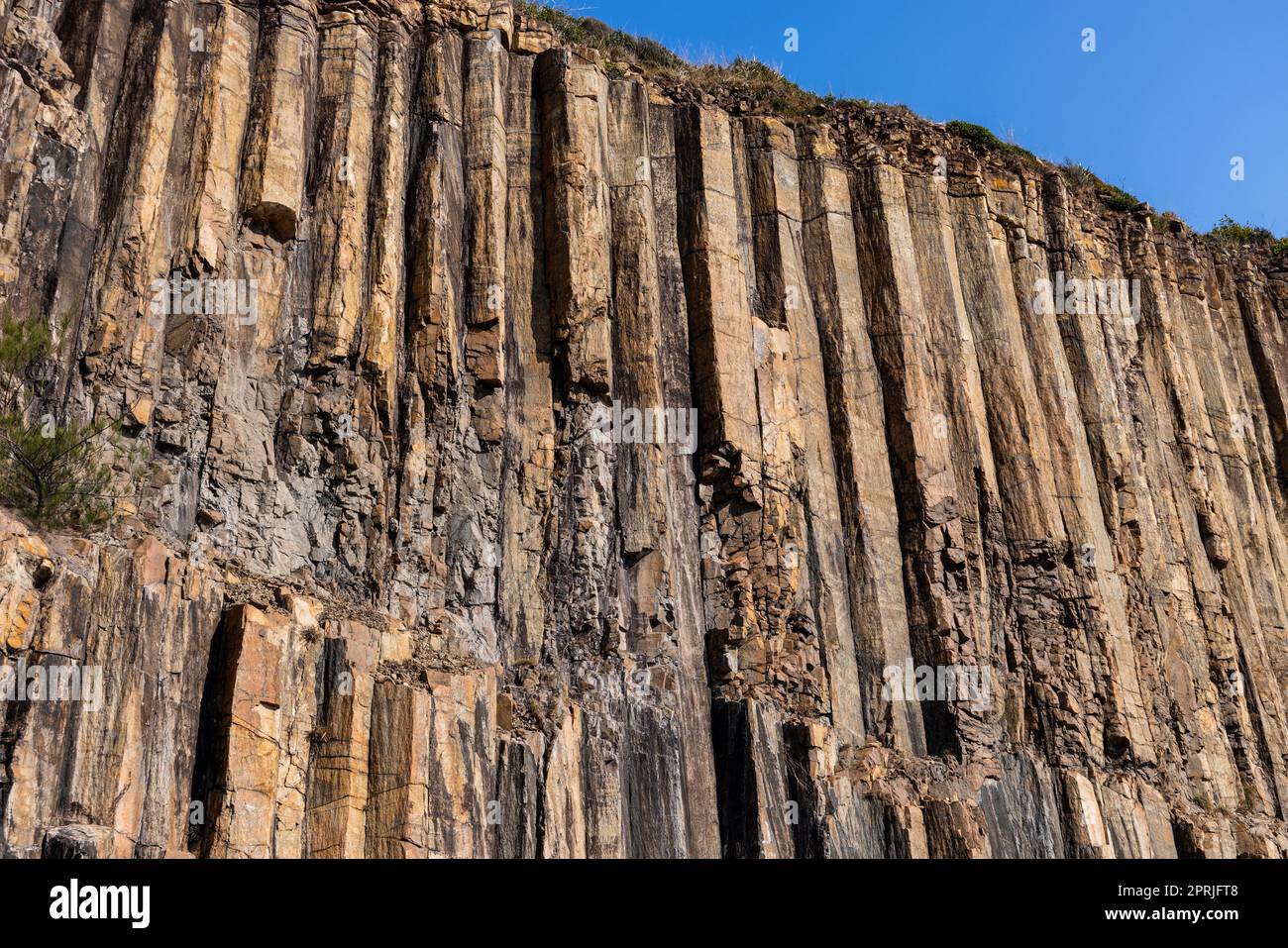 Hong Kong Geo Park , hexagonal column Stock Photo - Alamy